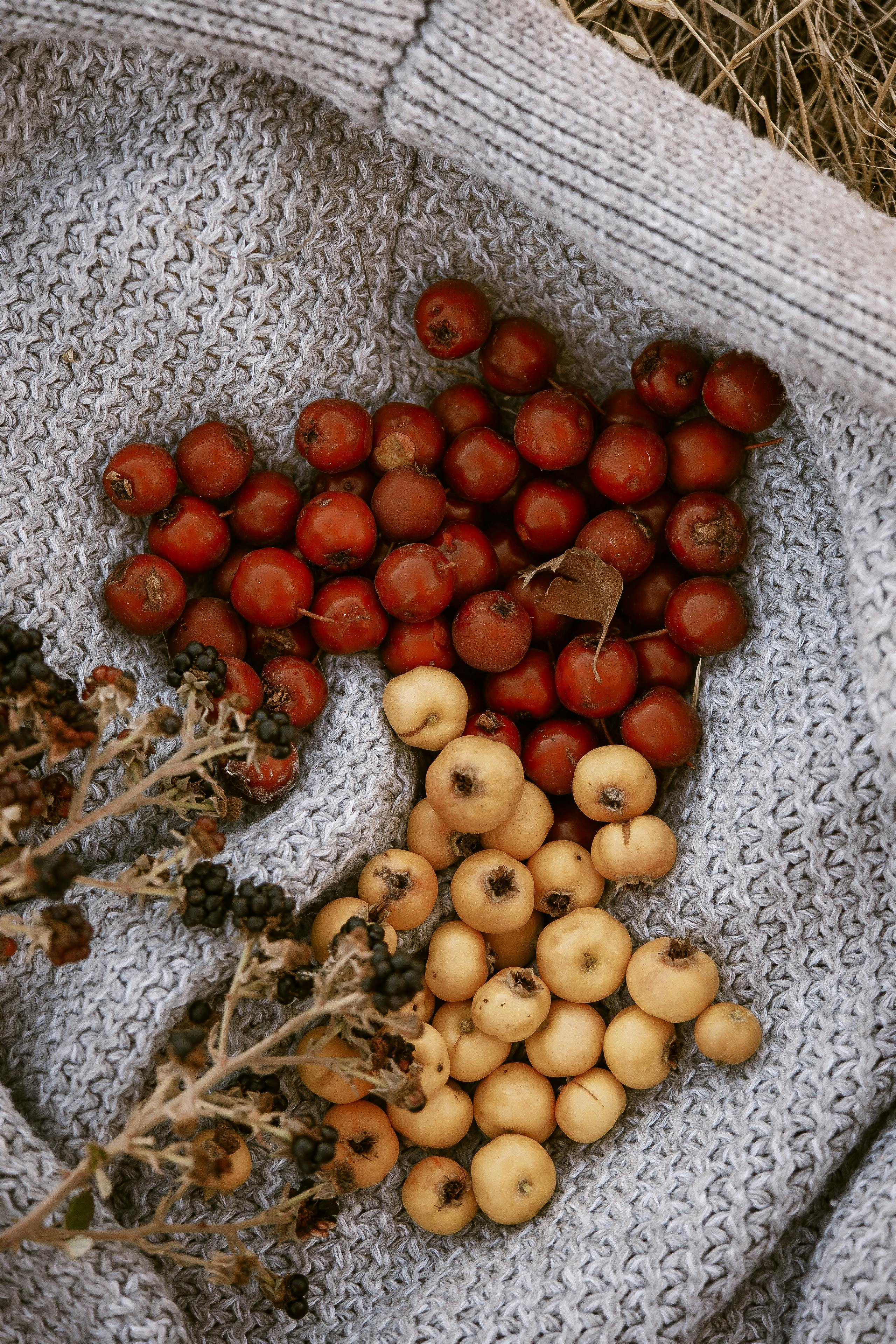 Dry Fruit Photos, Download The BEST Free Dry Fruit Stock Photos & HD Images