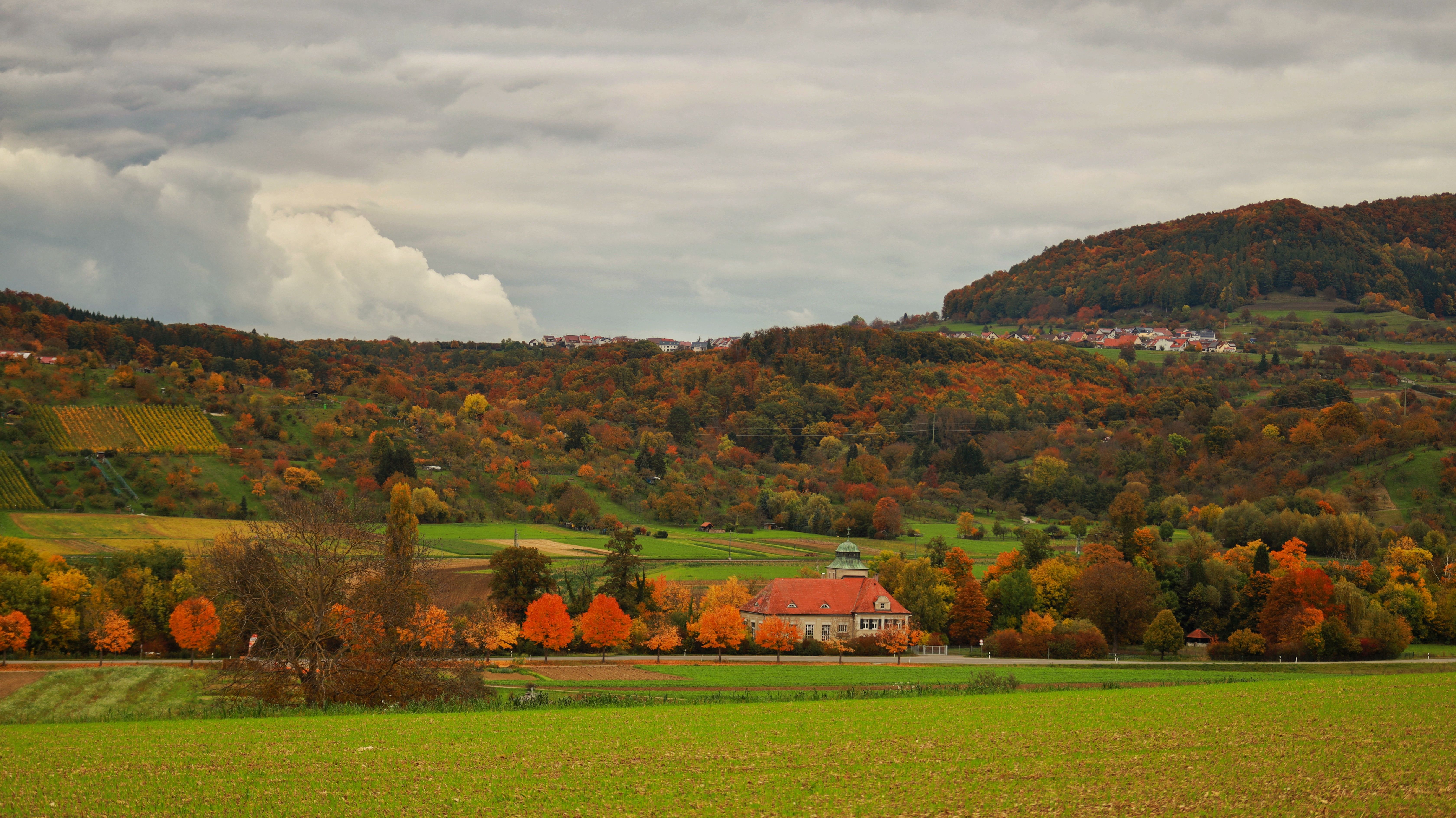 Scenic Autumn Landscape with Rolling Hills and Trees · Free Stock Photo