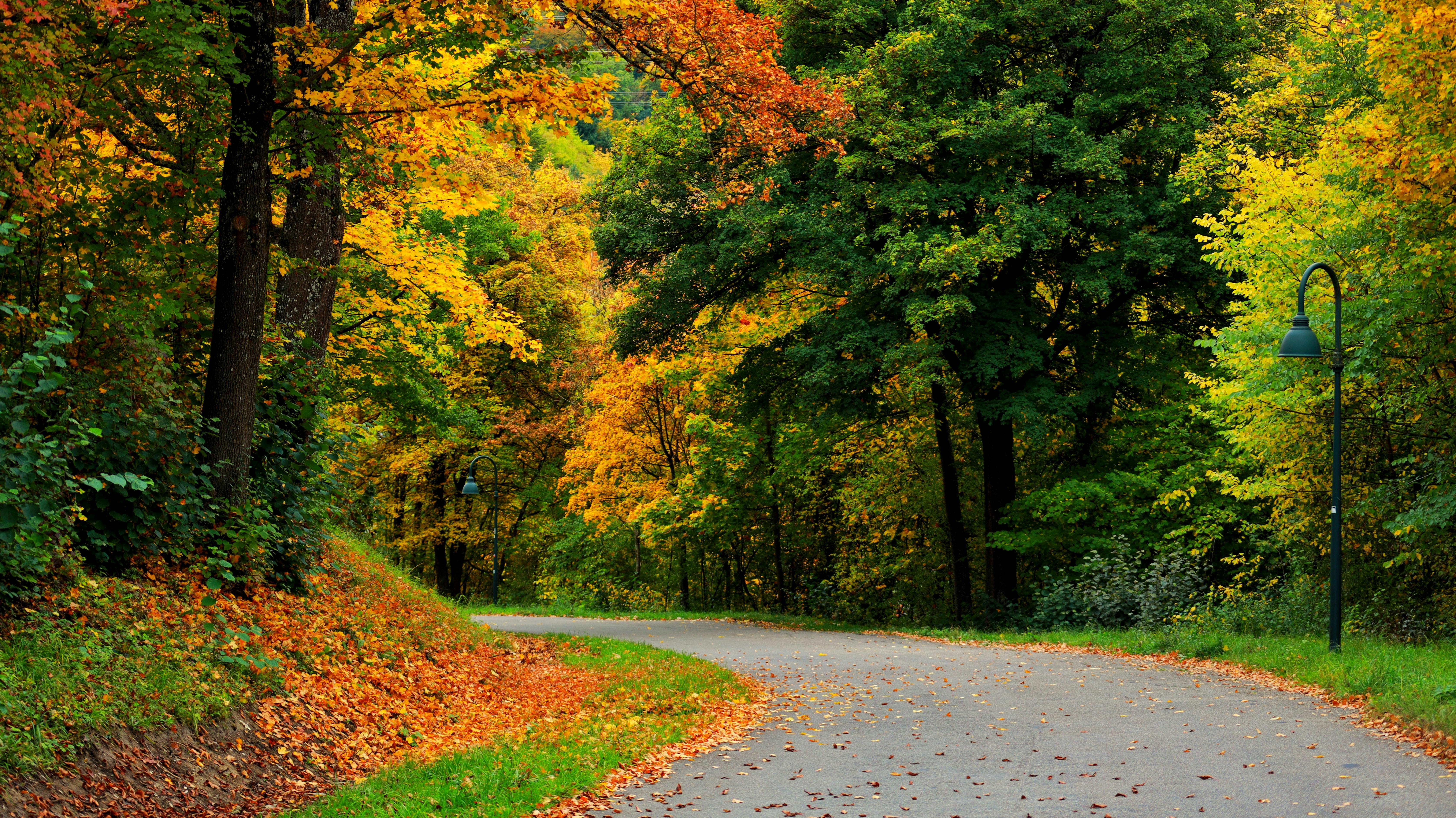 Fall October Photos, Download The BEST Free Fall October Stock Photos ...