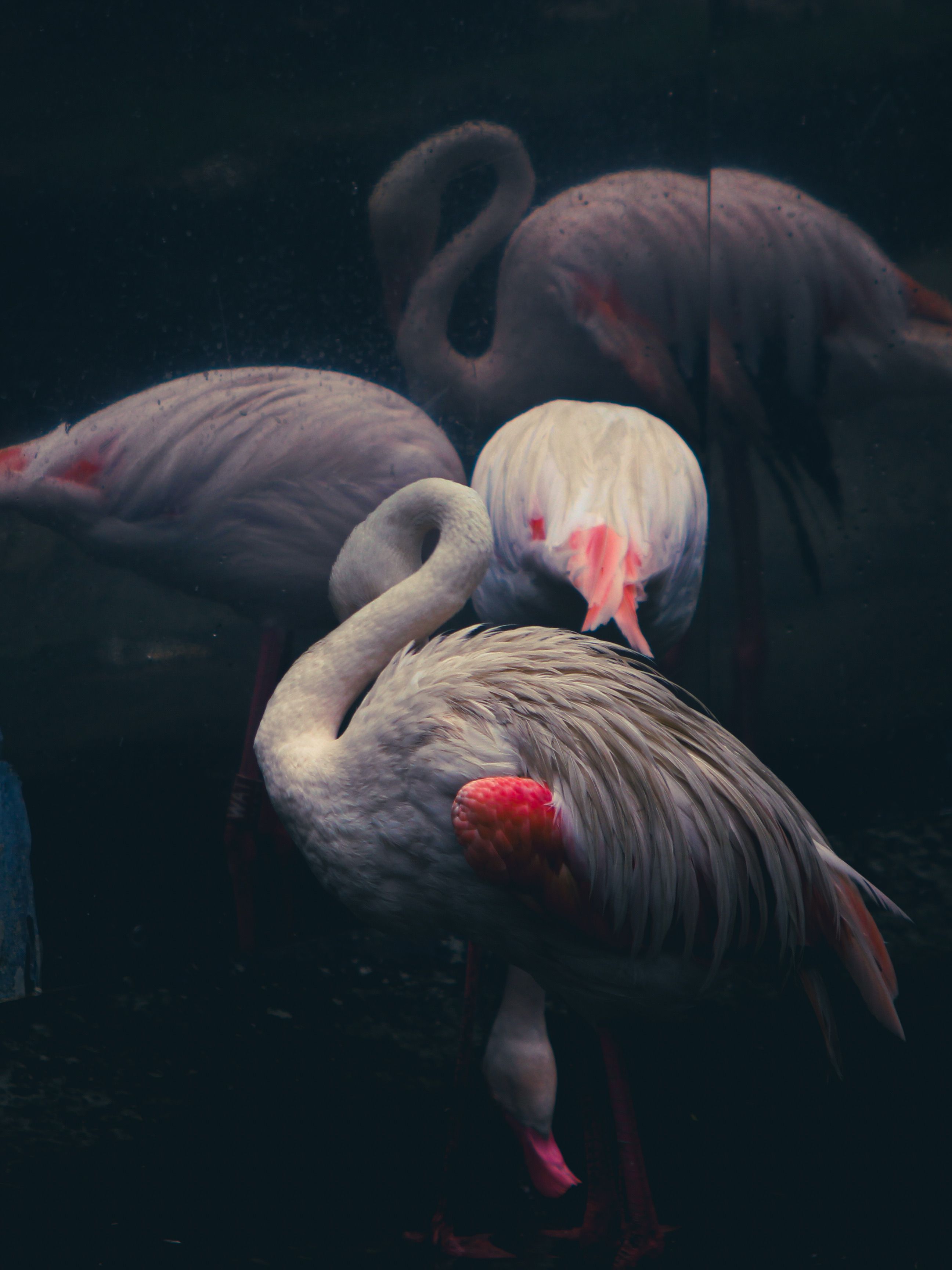 Water Pollution 4k Photos, Download The BEST Free Water Pollution 4k ...