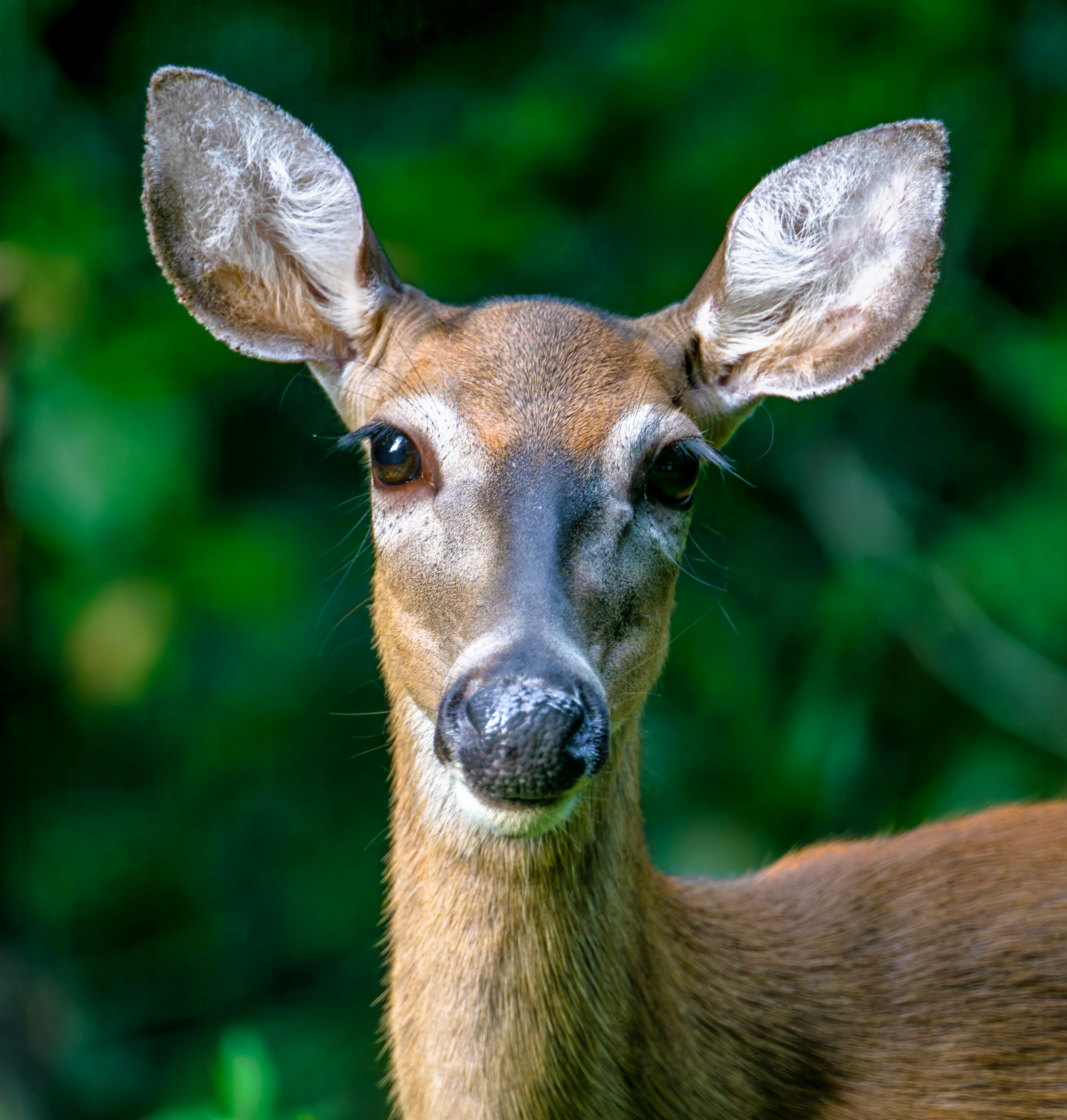 John Doe Photos, Download The BEST Free John Doe Stock Photos & HD Images