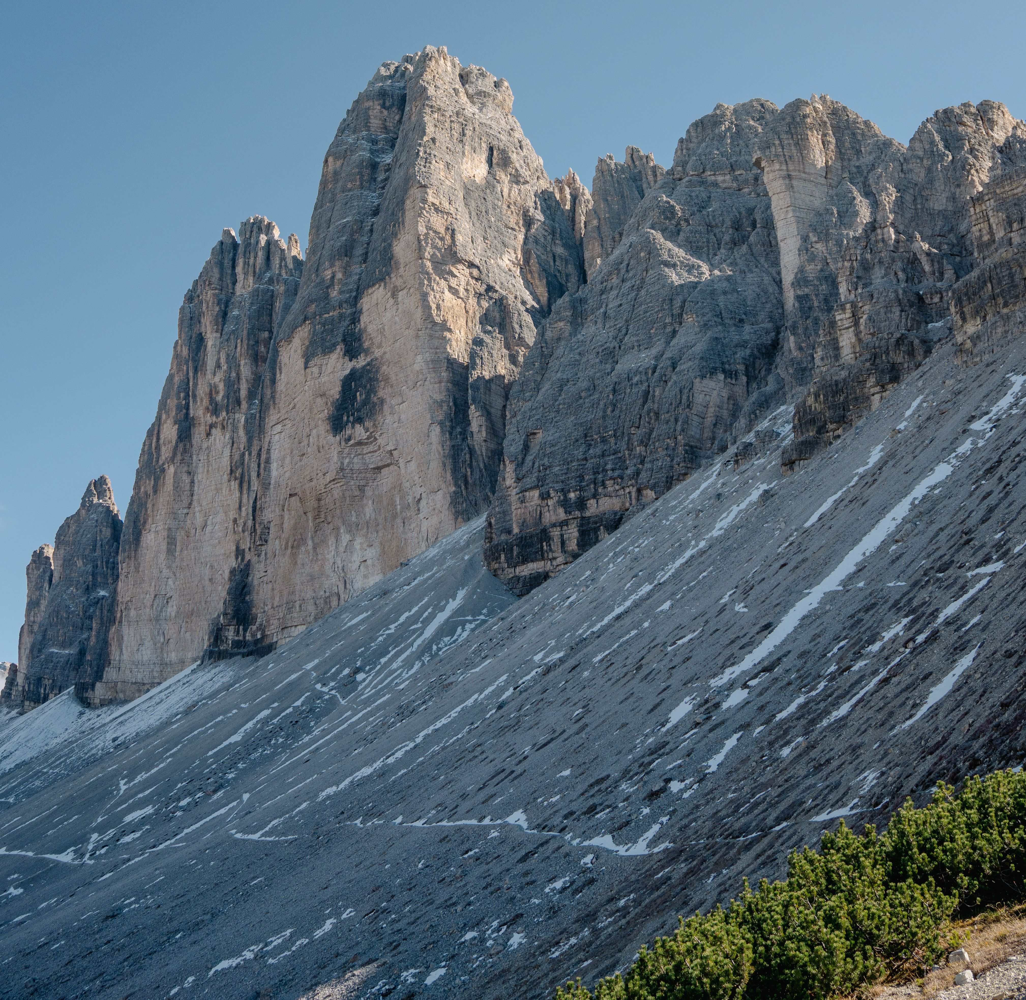 Wild Walling Photos, Download The BEST Free Wild Walling Stock Photos ...