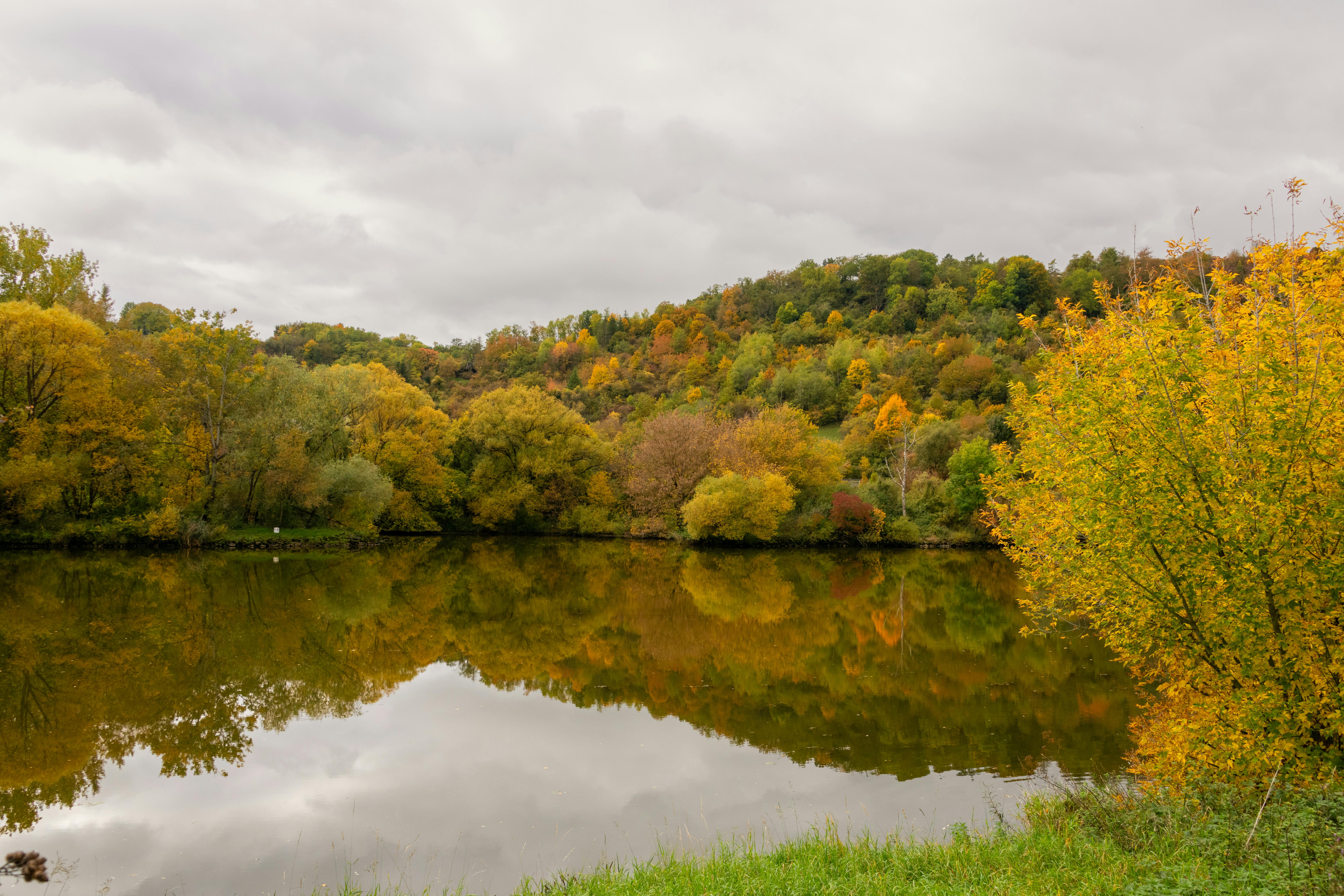 Fall October Photos, Download The BEST Free Fall October Stock Photos ...