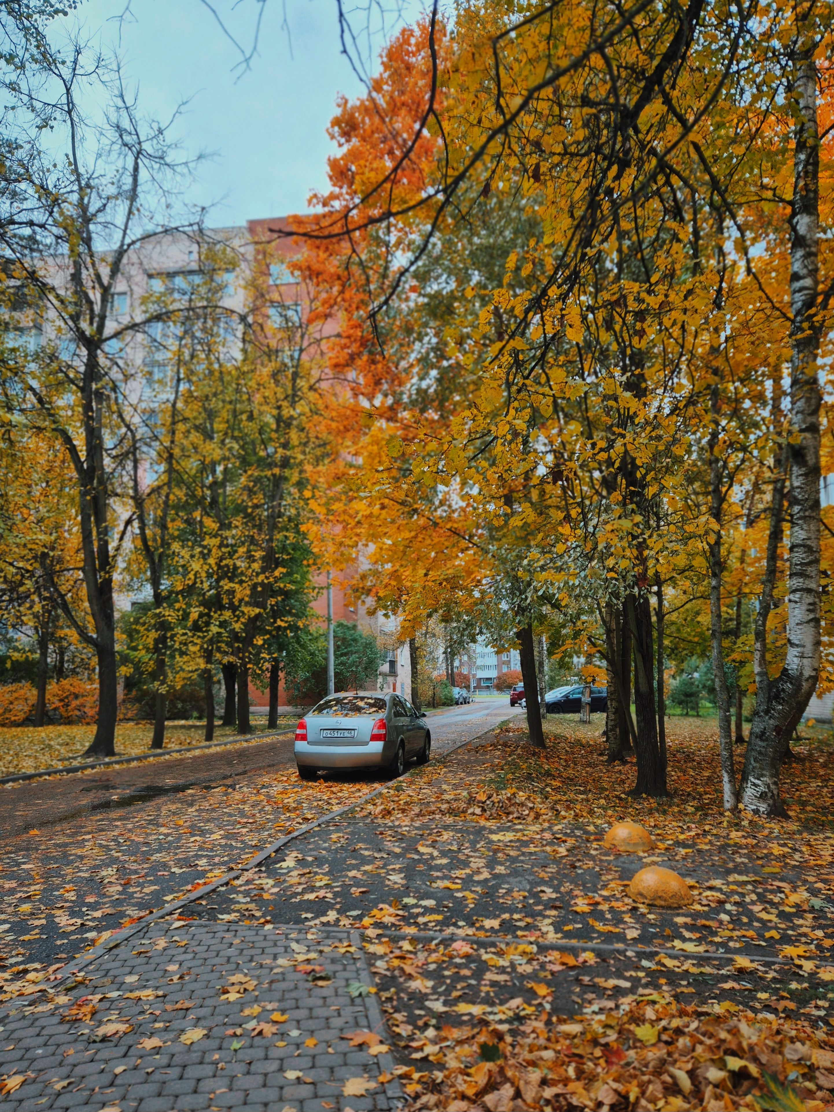 Scenic Autumn Street with Colorful Foliage · Free Stock Photo