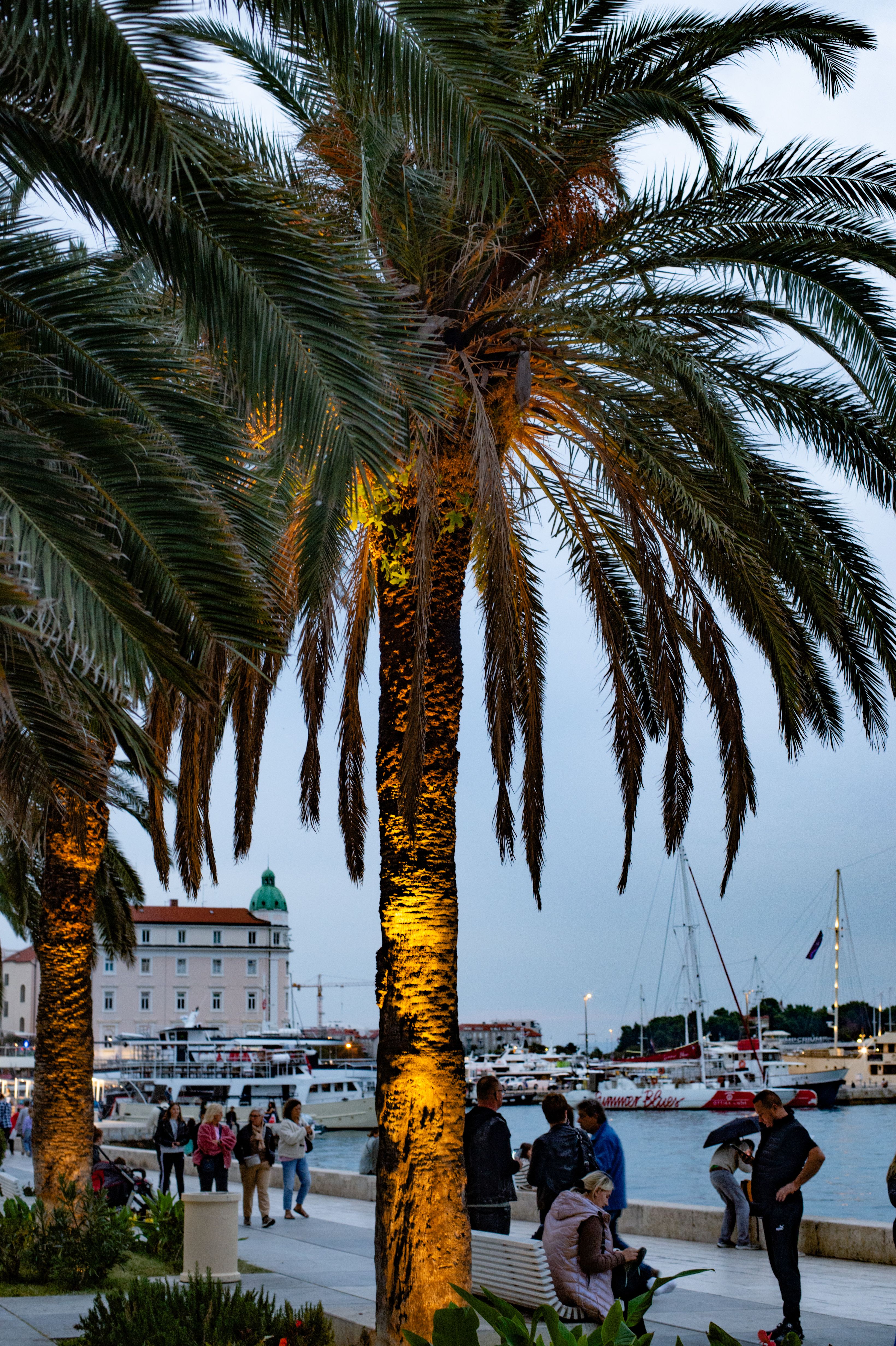 Split Sea Photos, Download The BEST Free Split Sea Stock Photos & HD Images