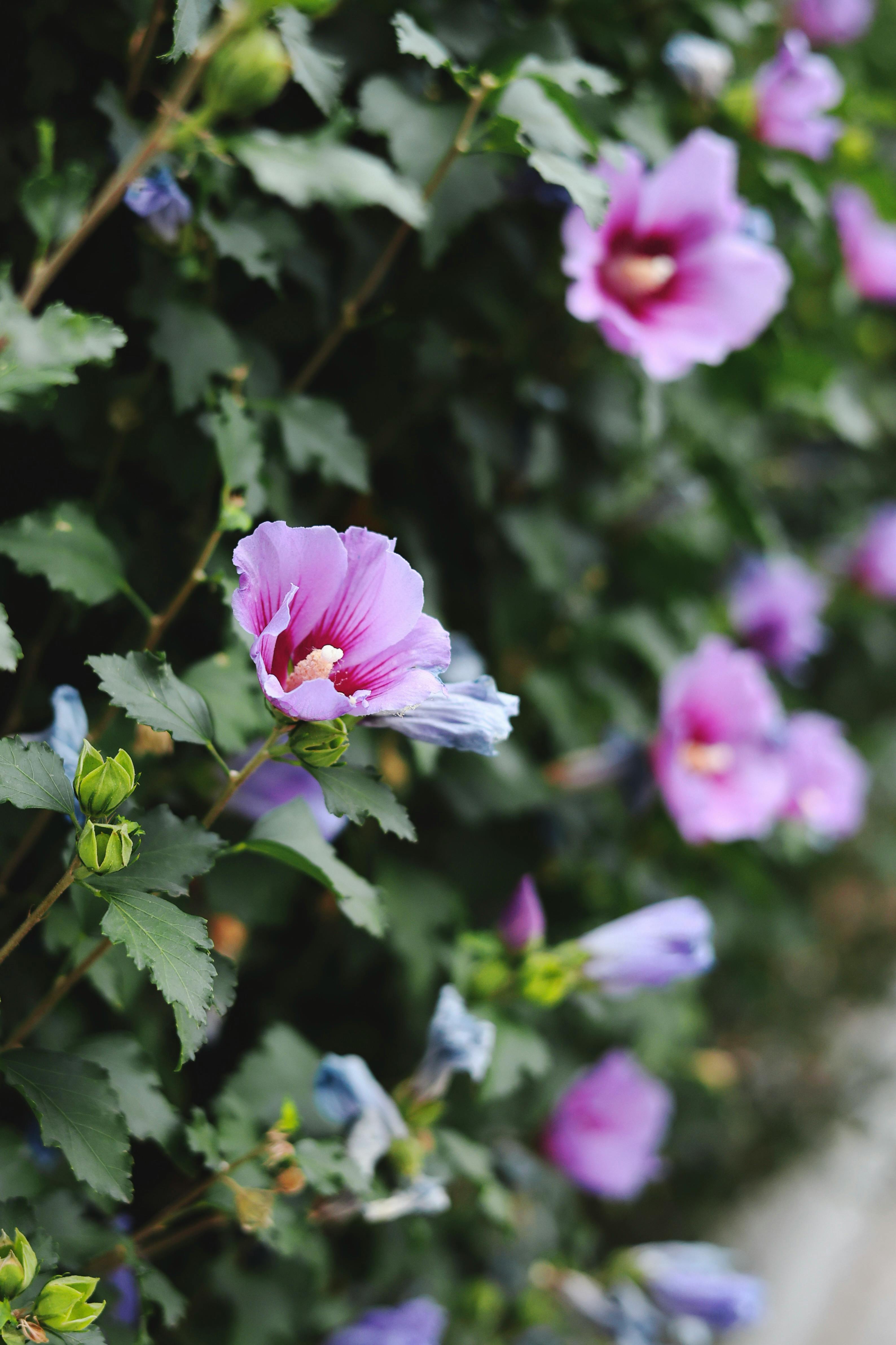 Firewall Image Photos, Download The BEST Free Firewall Image Stock ...