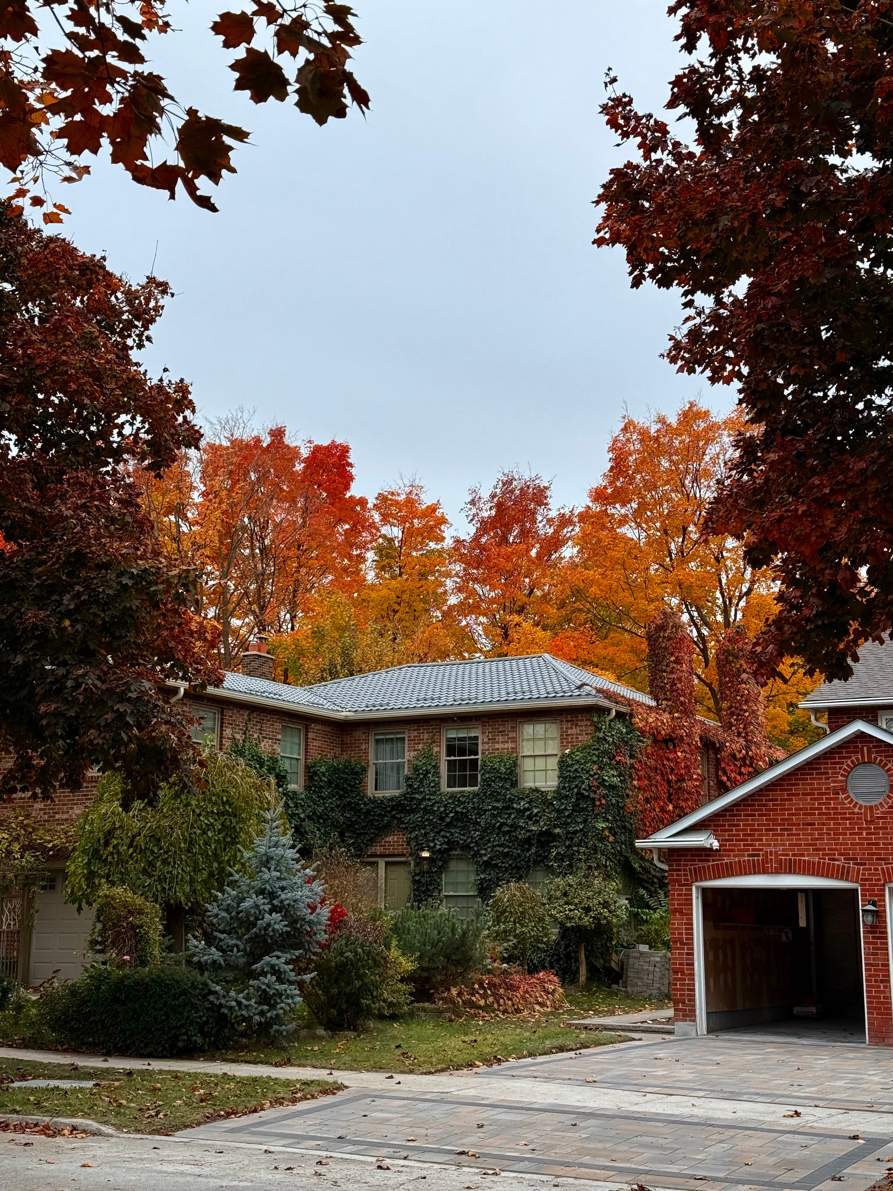 Charming Autumn Scene in Toronto Neighborhood · Free Stock Photo