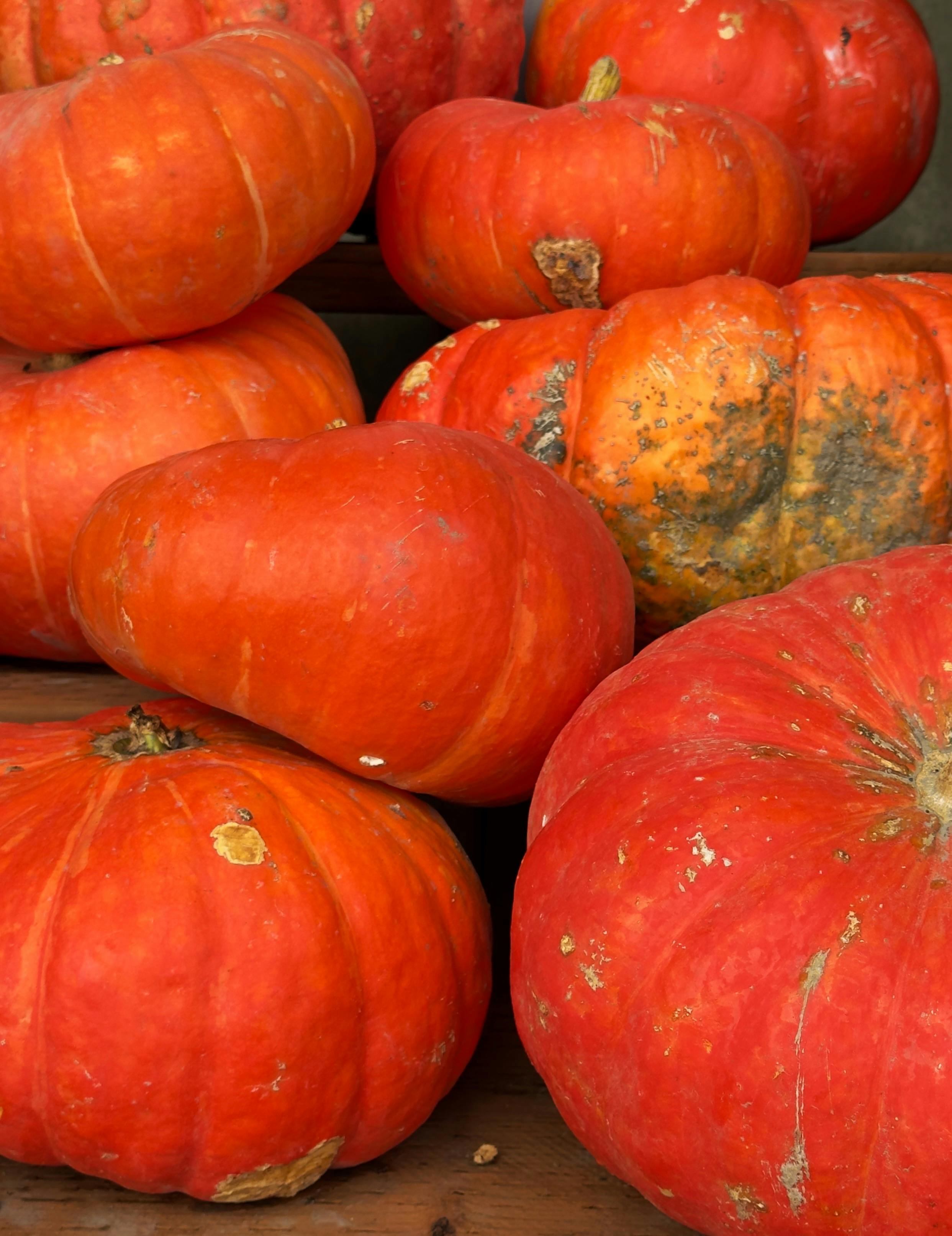 Fall October Photos, Download The BEST Free Fall October Stock Photos ...