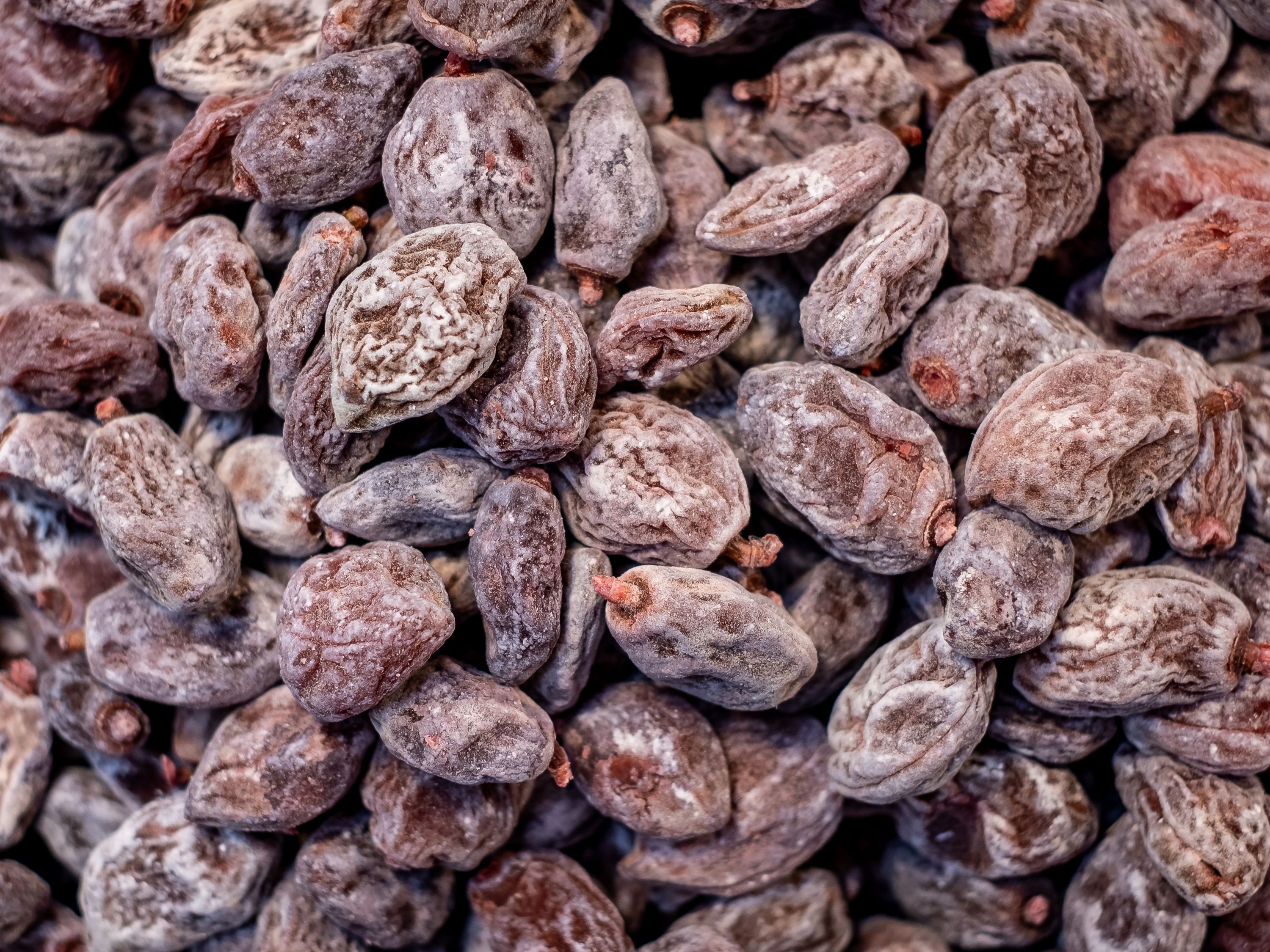 Close-up of Dried Persimmons for Sale in Hanoi · Free Stock Photo