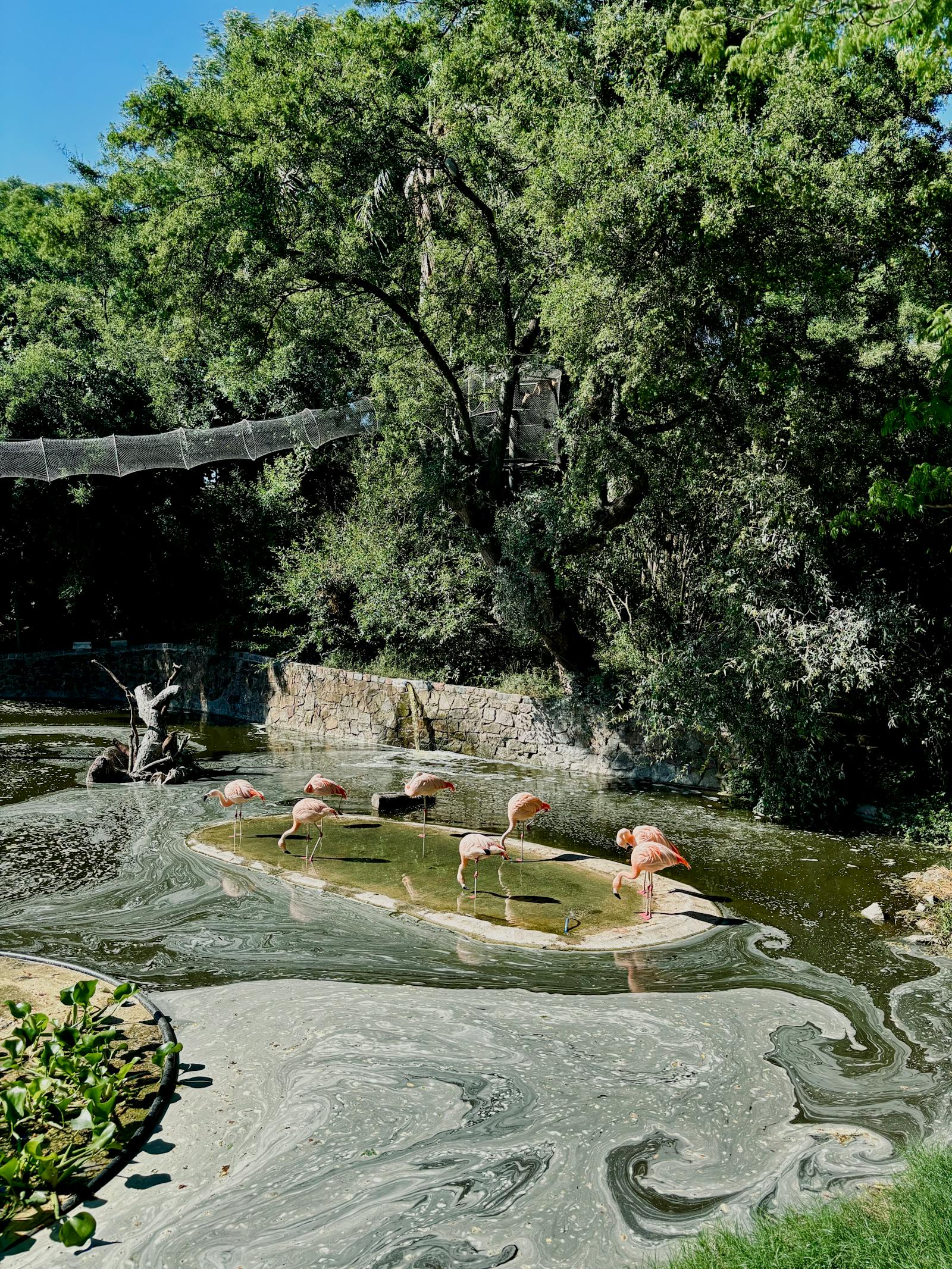 Lagoon Photos, Download The BEST Free Lagoon Stock Photos & HD Images