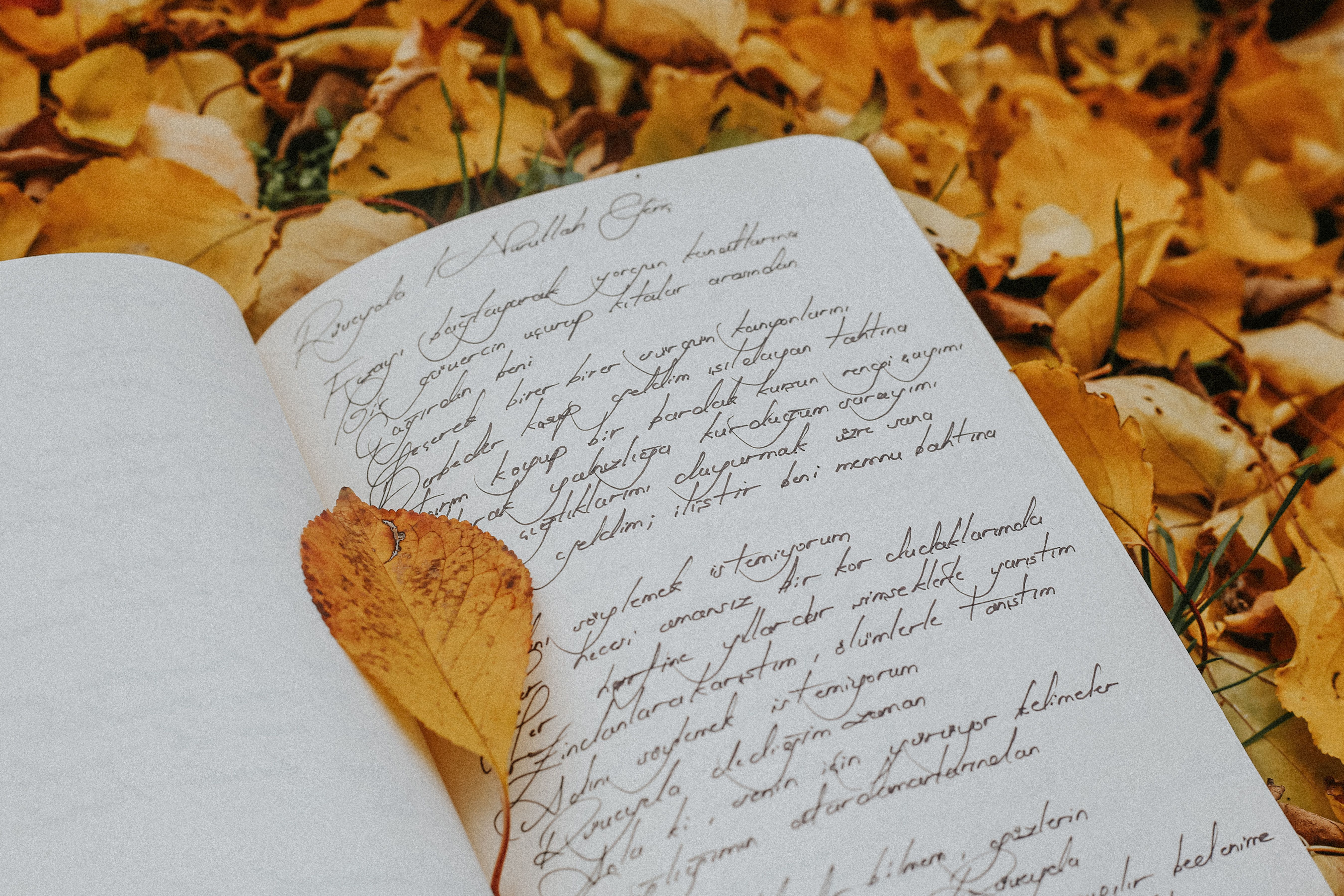 Document Document Photos, Download The BEST Free Document Document ...
