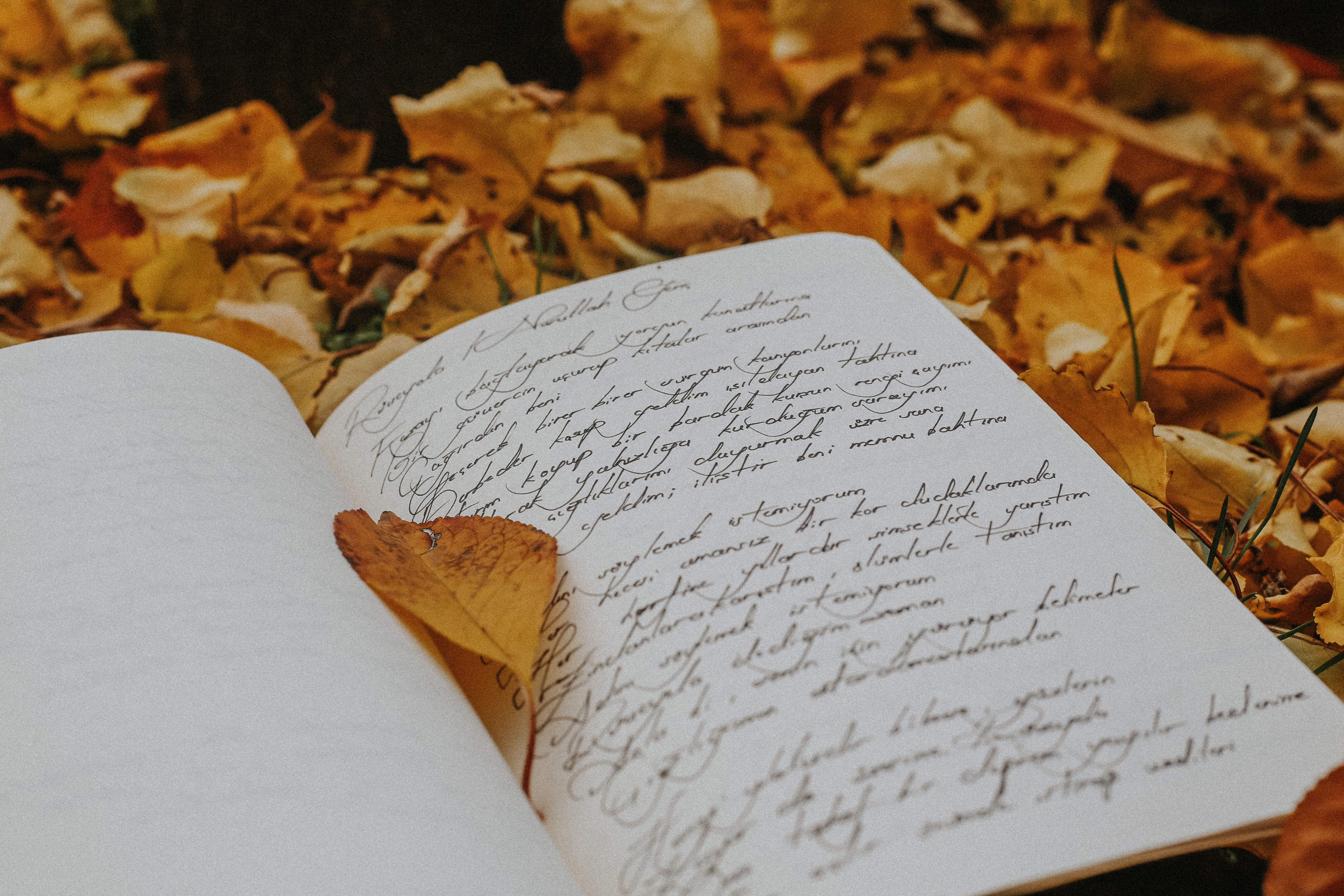 Book Png Photos, Download The BEST Free Book Png Stock Photos & HD Images