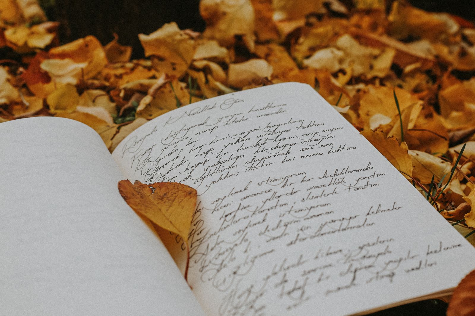 Book Png Photos, Download The BEST Free Book Png Stock Photos & HD Images