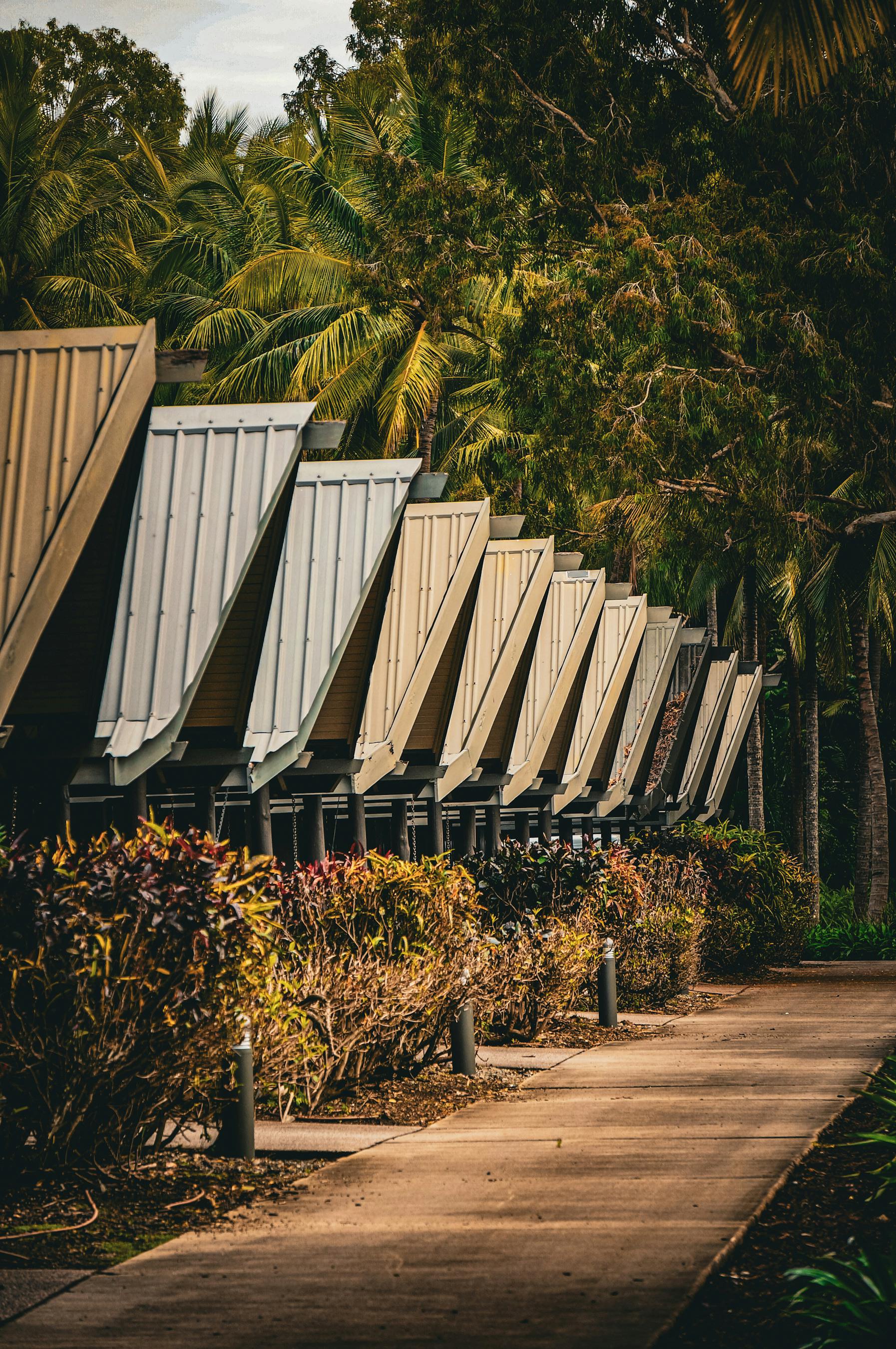 Row Photos, Download The BEST Free Row Stock Photos & HD Images