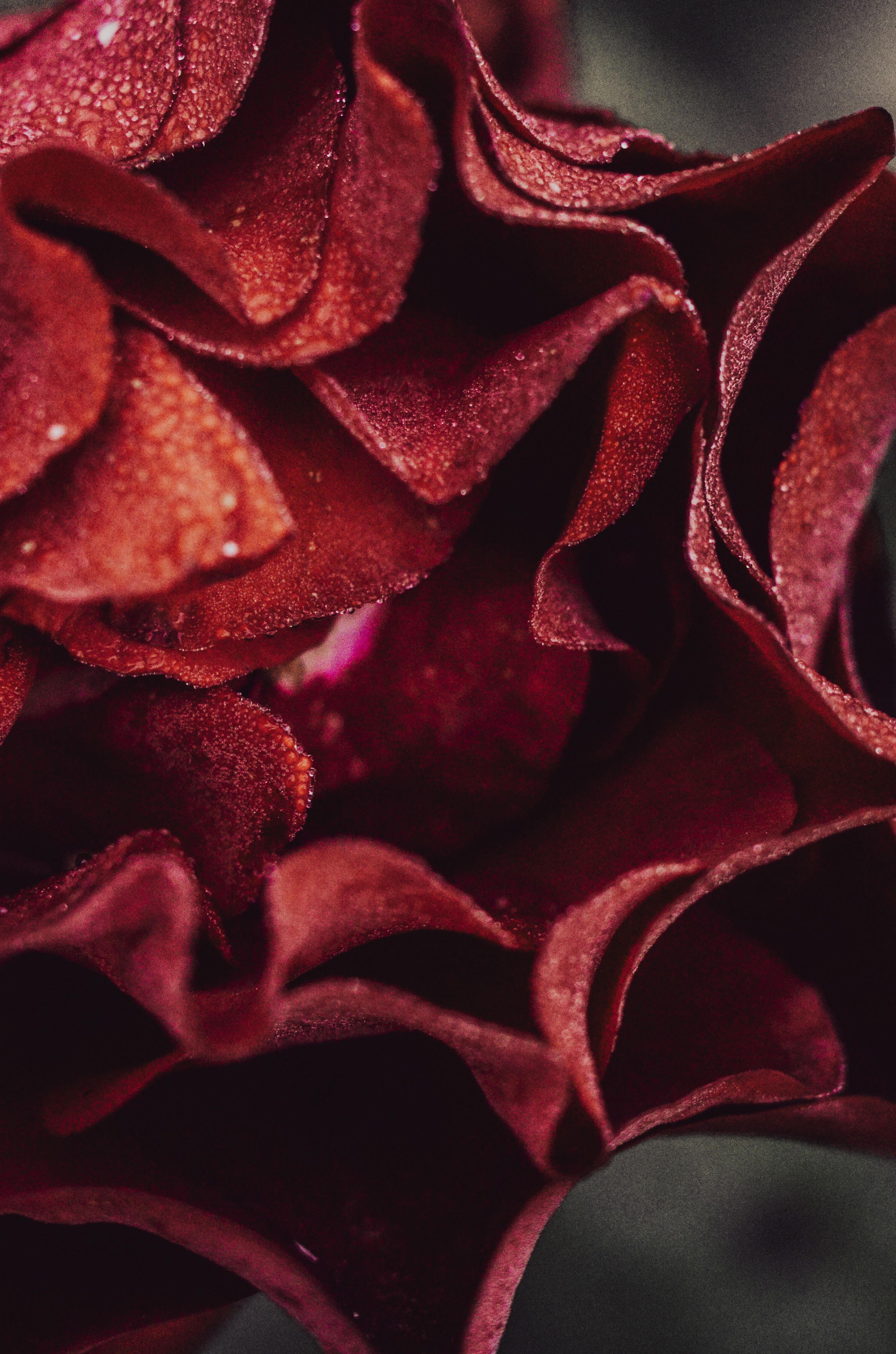 Choclolate Valentine Photos, Download The BEST Free Choclolate ...