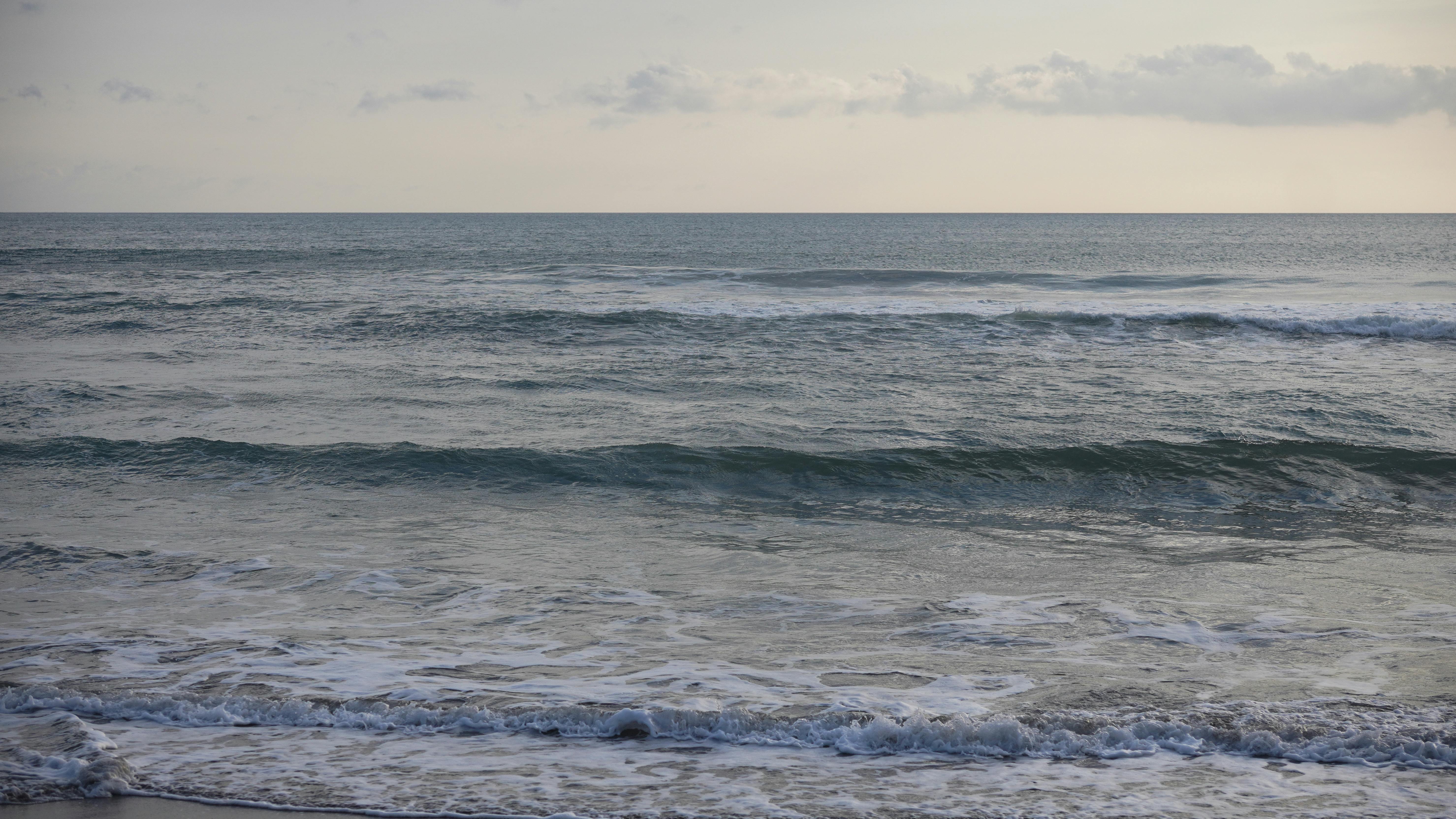 Grey Pfp Photos, Download The BEST Free Grey Pfp Stock Photos & HD Images