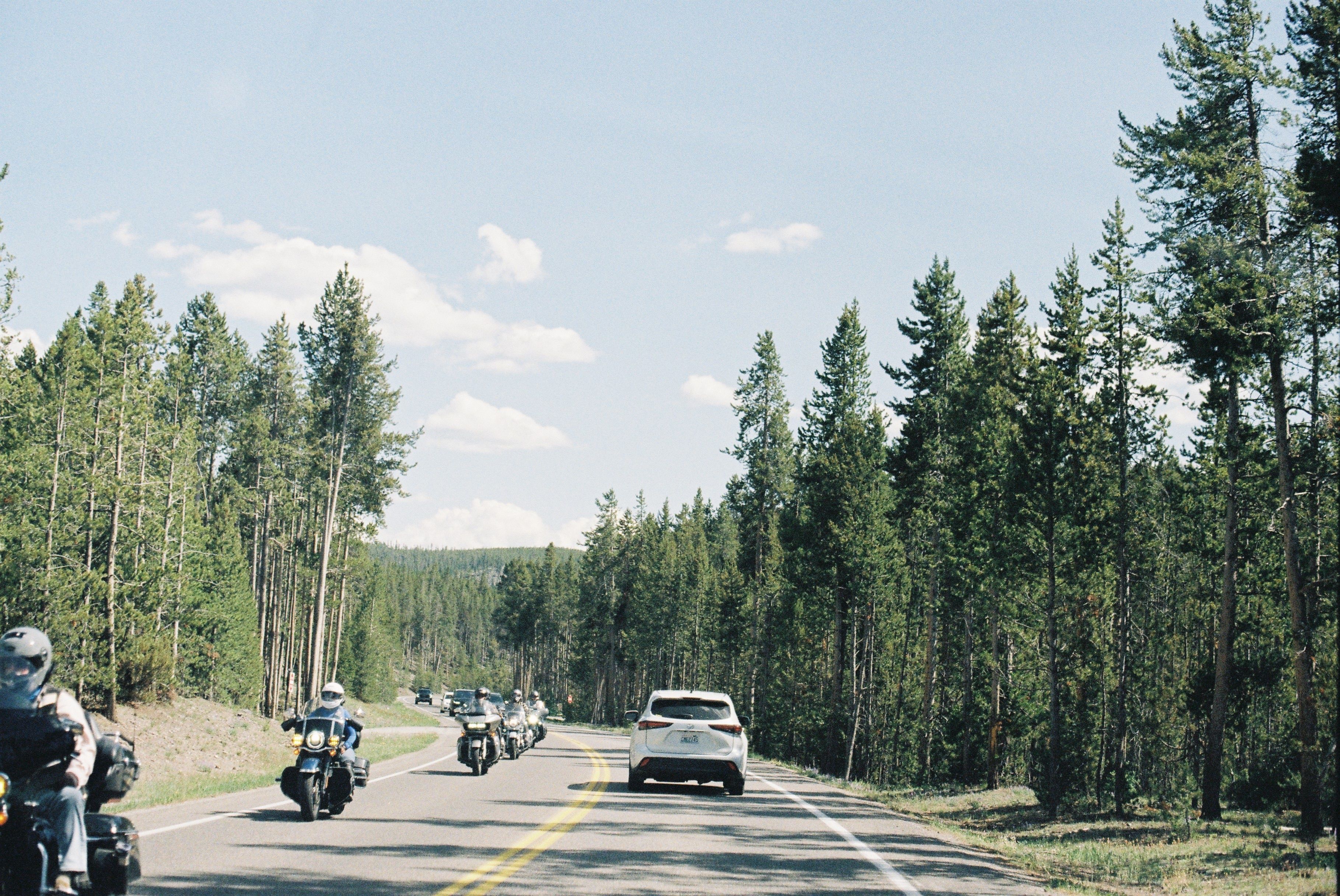 Motorcycle Ride through Scenic Forest Road · Free Stock Photo