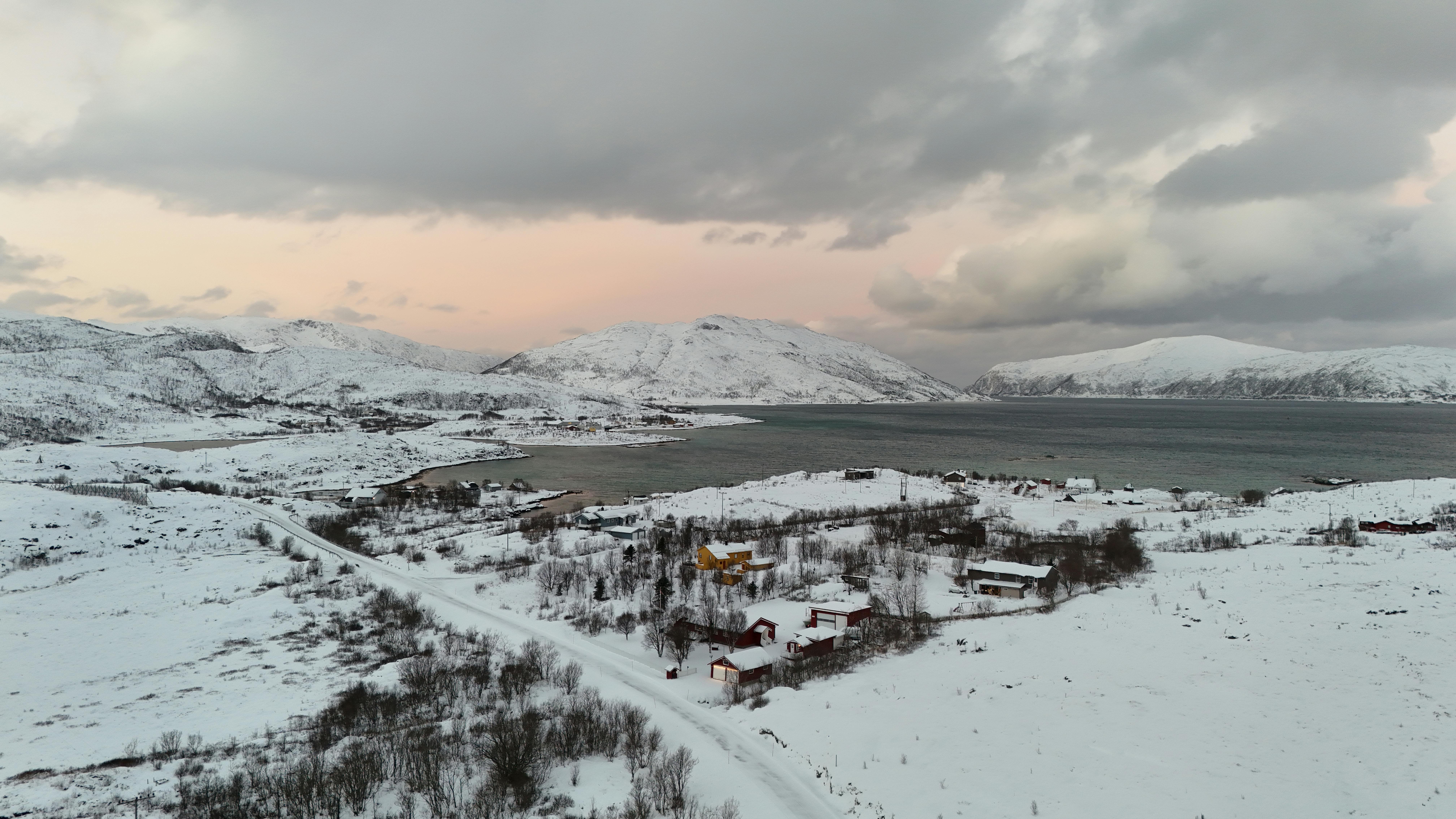 Everyone+Pointing+At+Wallpaper+Meme Photos, Download The BEST Free ...