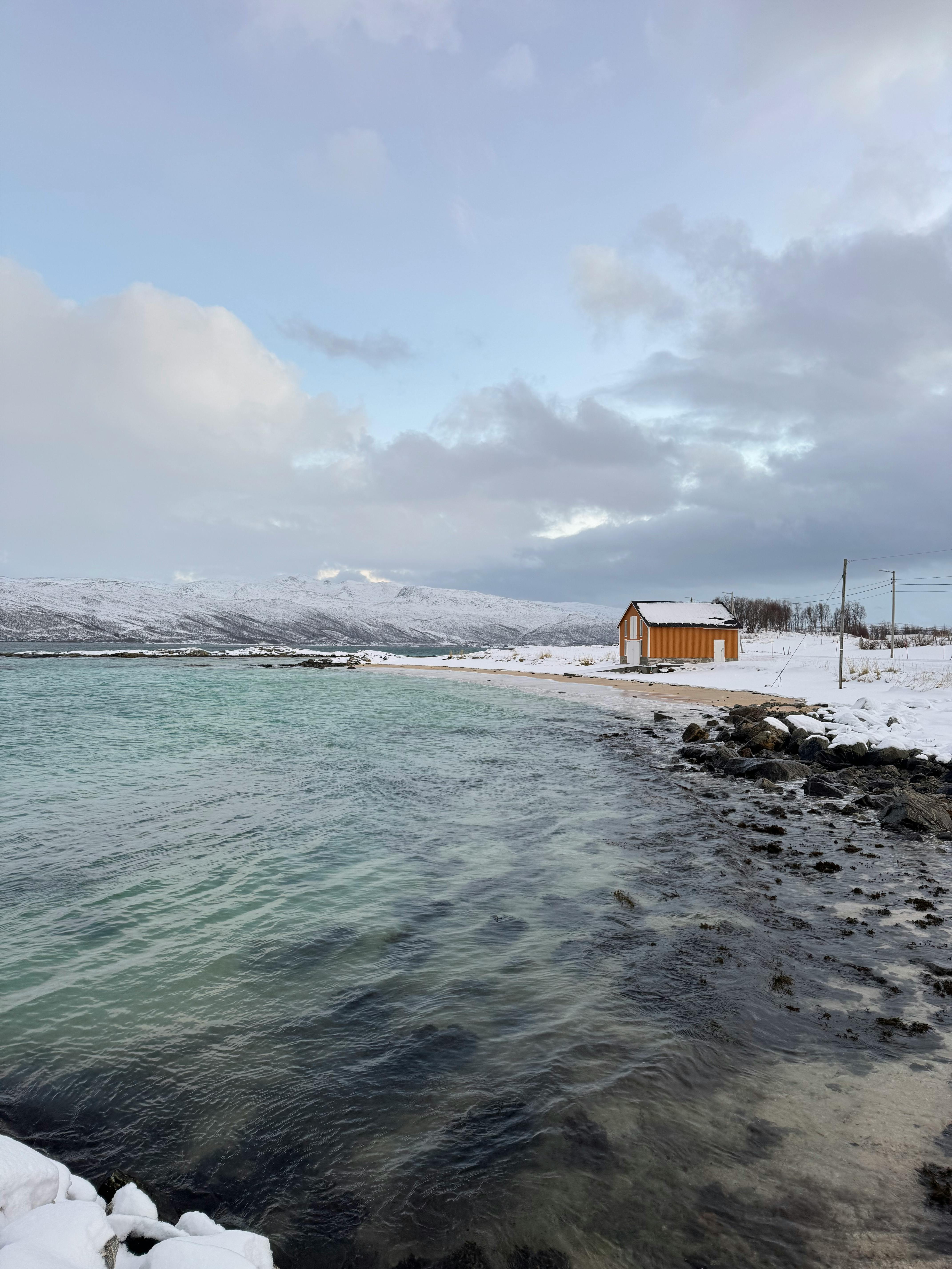 Everyone+Pointing+At+Wallpaper+Meme Photos, Download The BEST Free ...