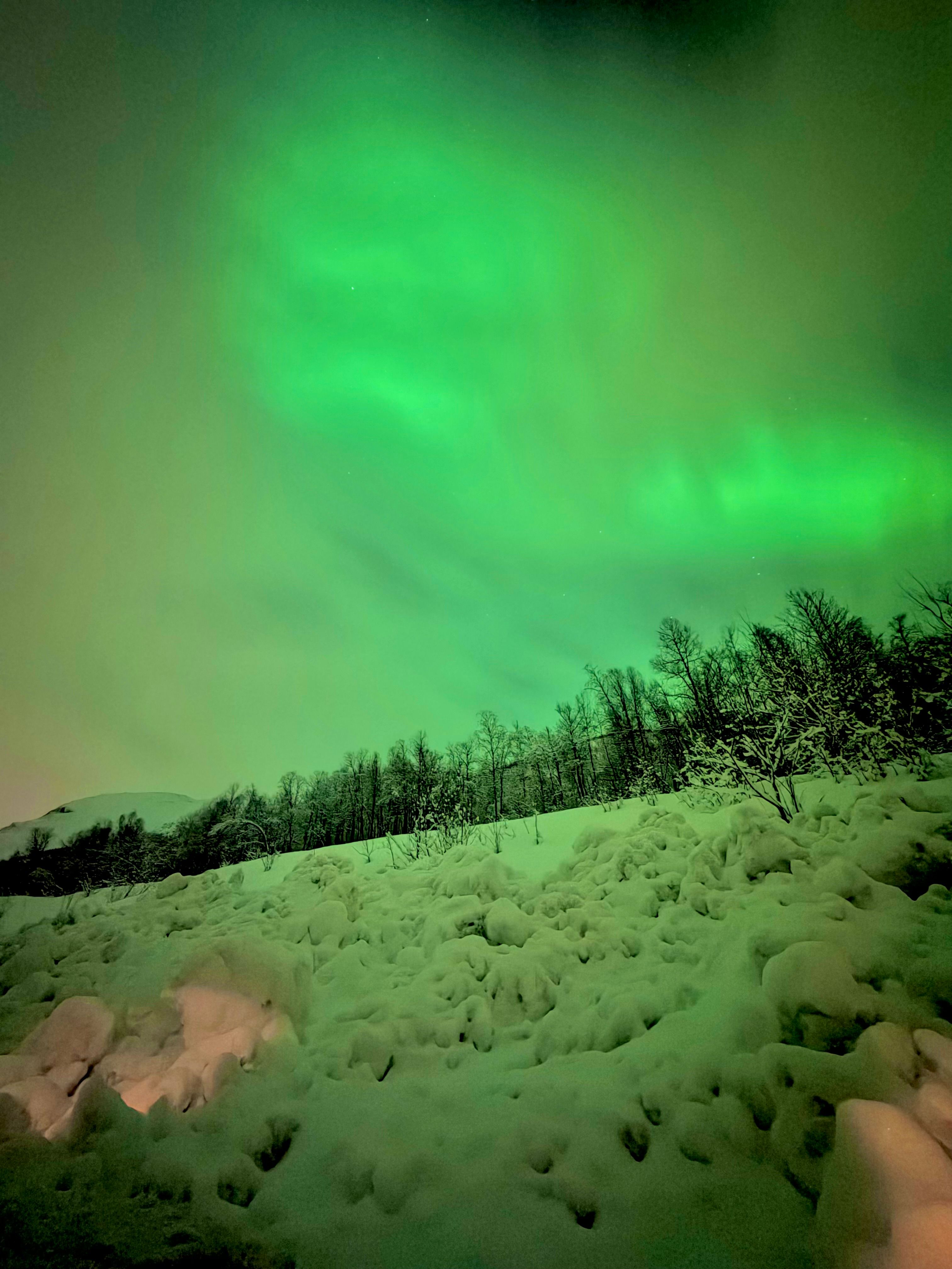 Breathtaking Northern Lights Over Snowy Tromsø Landscape · Free Stock Photo