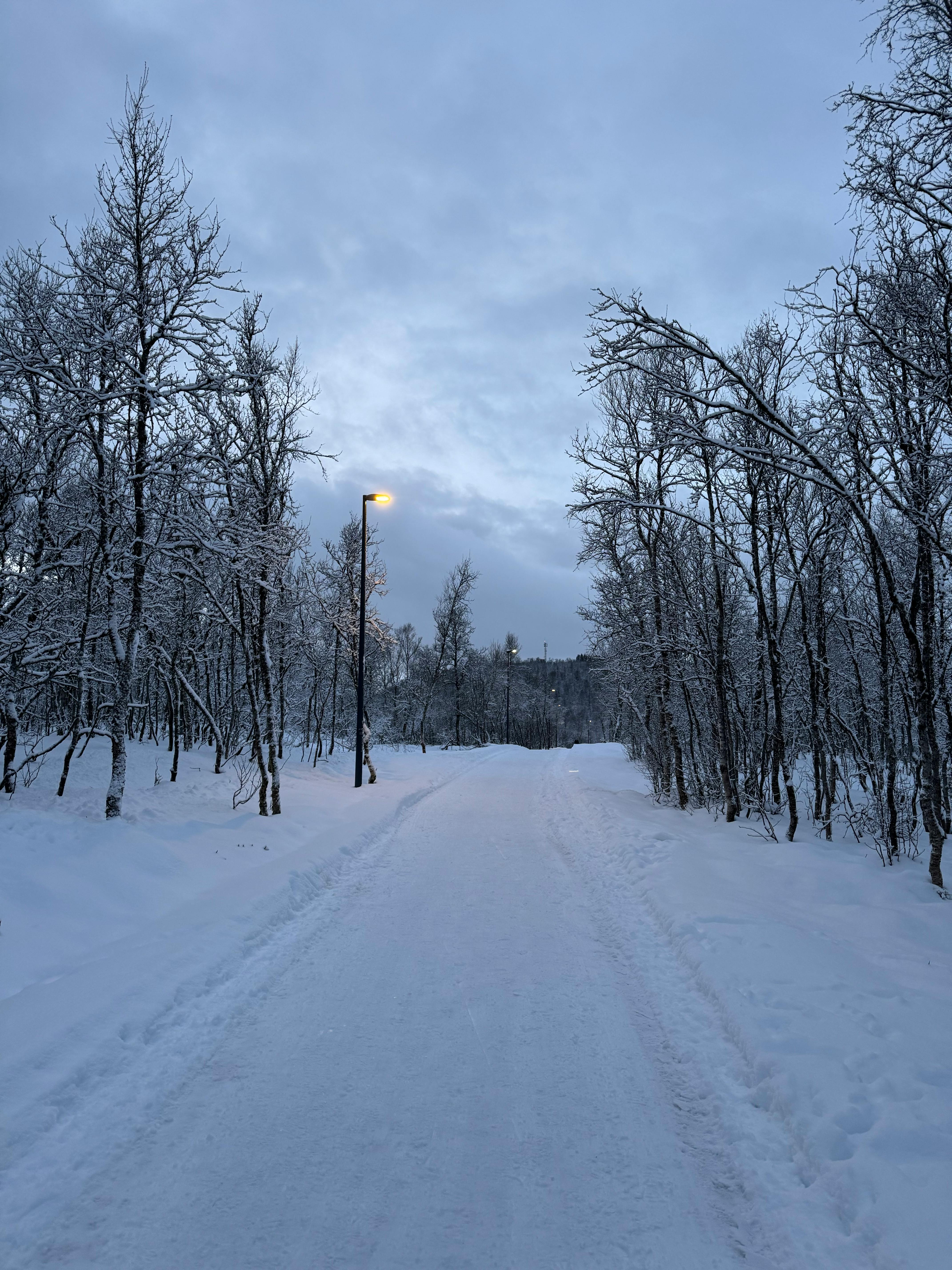 Everyone+Pointing+At+Wallpaper+Meme Photos, Download The BEST Free ...