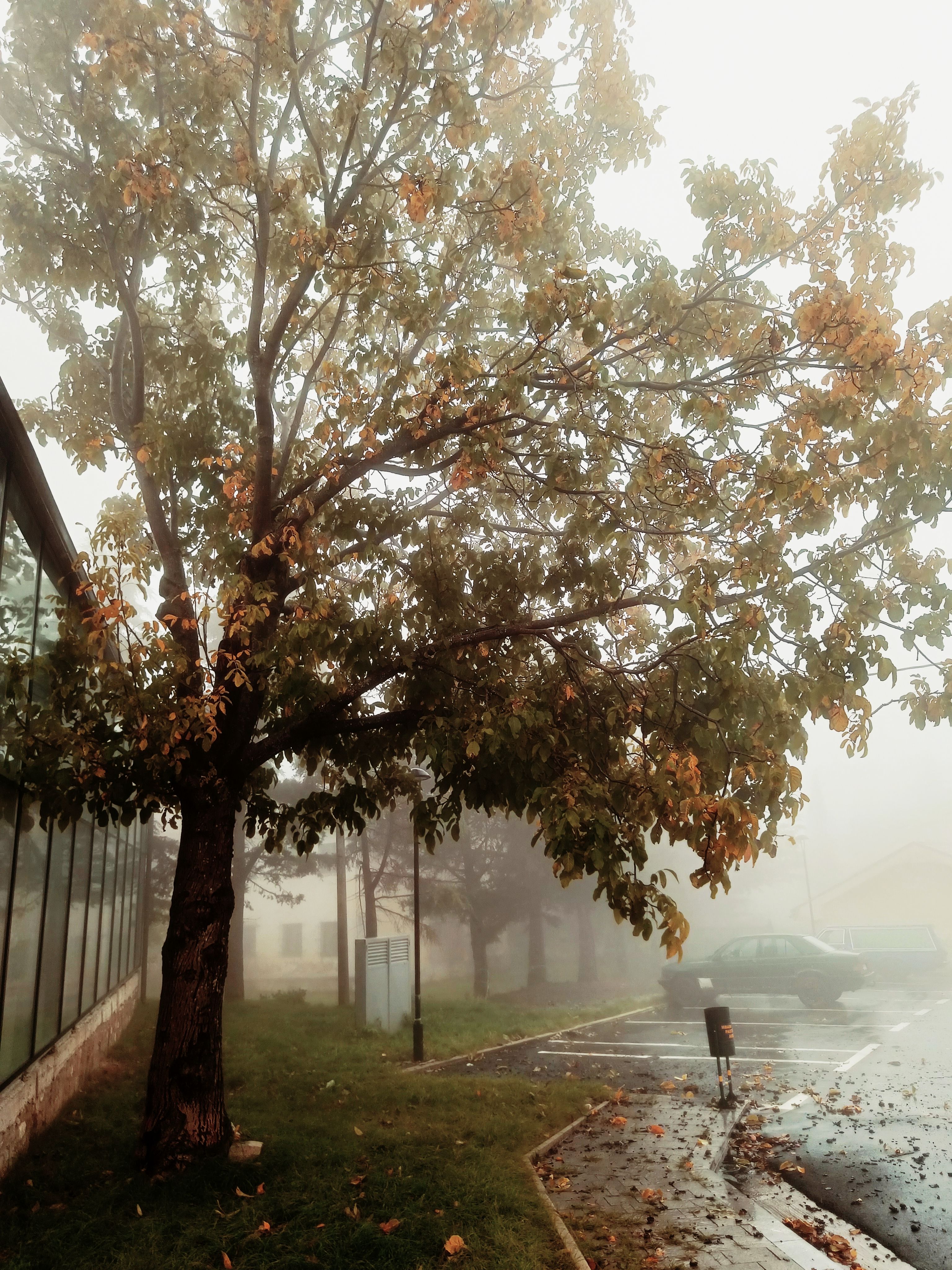 Mysterious Atmosphere Photos, Download The BEST Free Mysterious ...