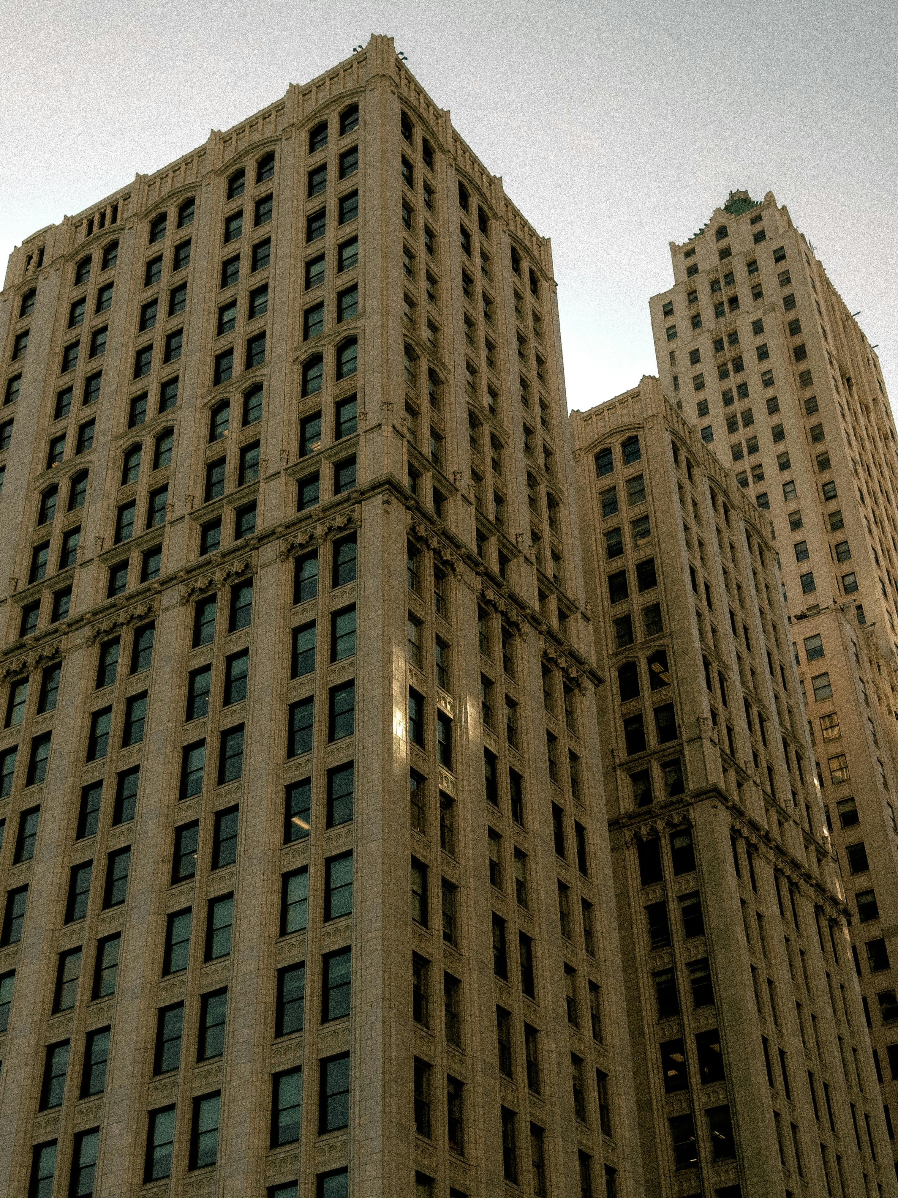 Proportion Photos, Download The BEST Free Proportion Stock Photos & HD ...