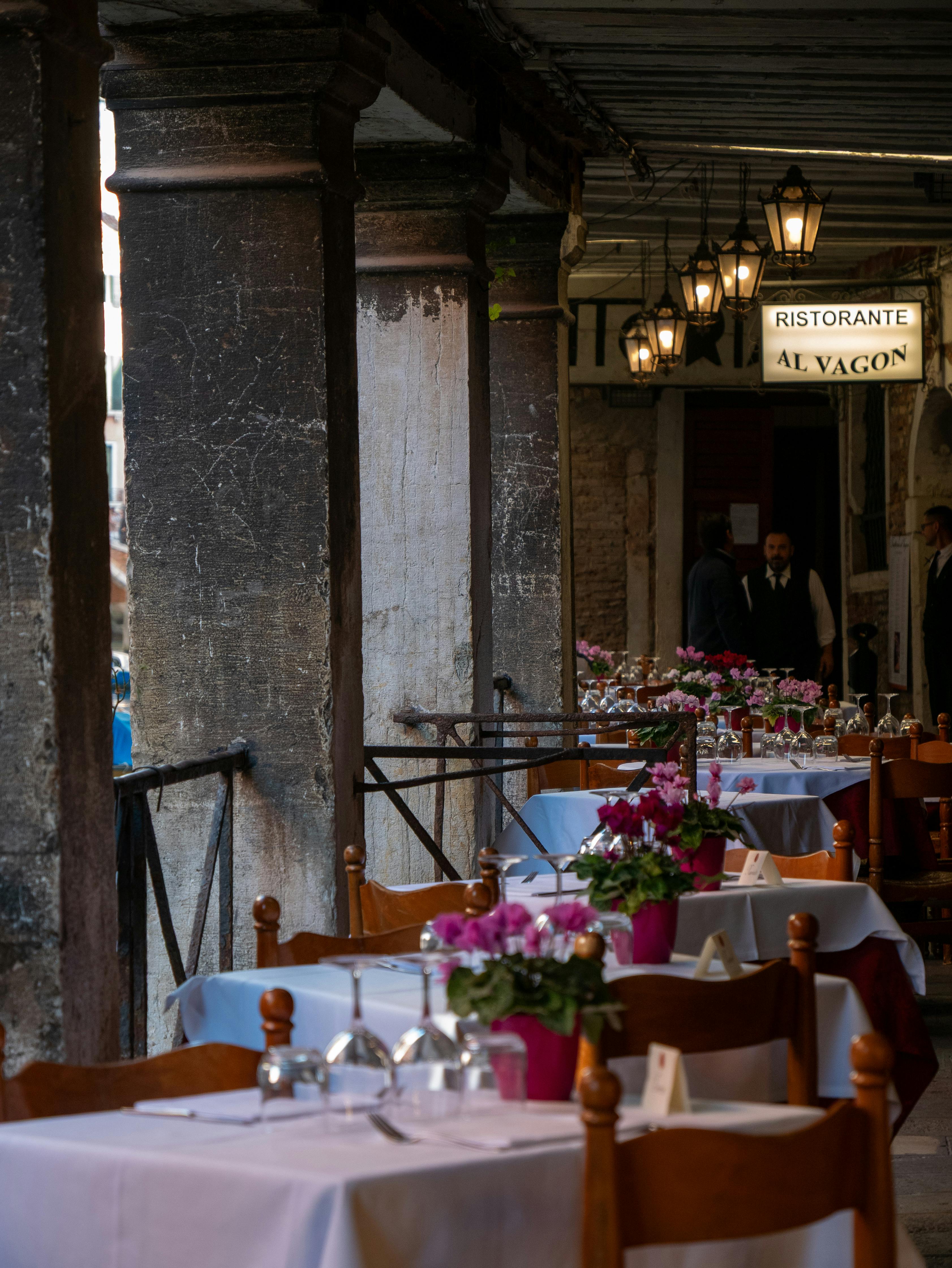 Evening Flowers Photos, Download The BEST Free Evening Flowers Stock ...