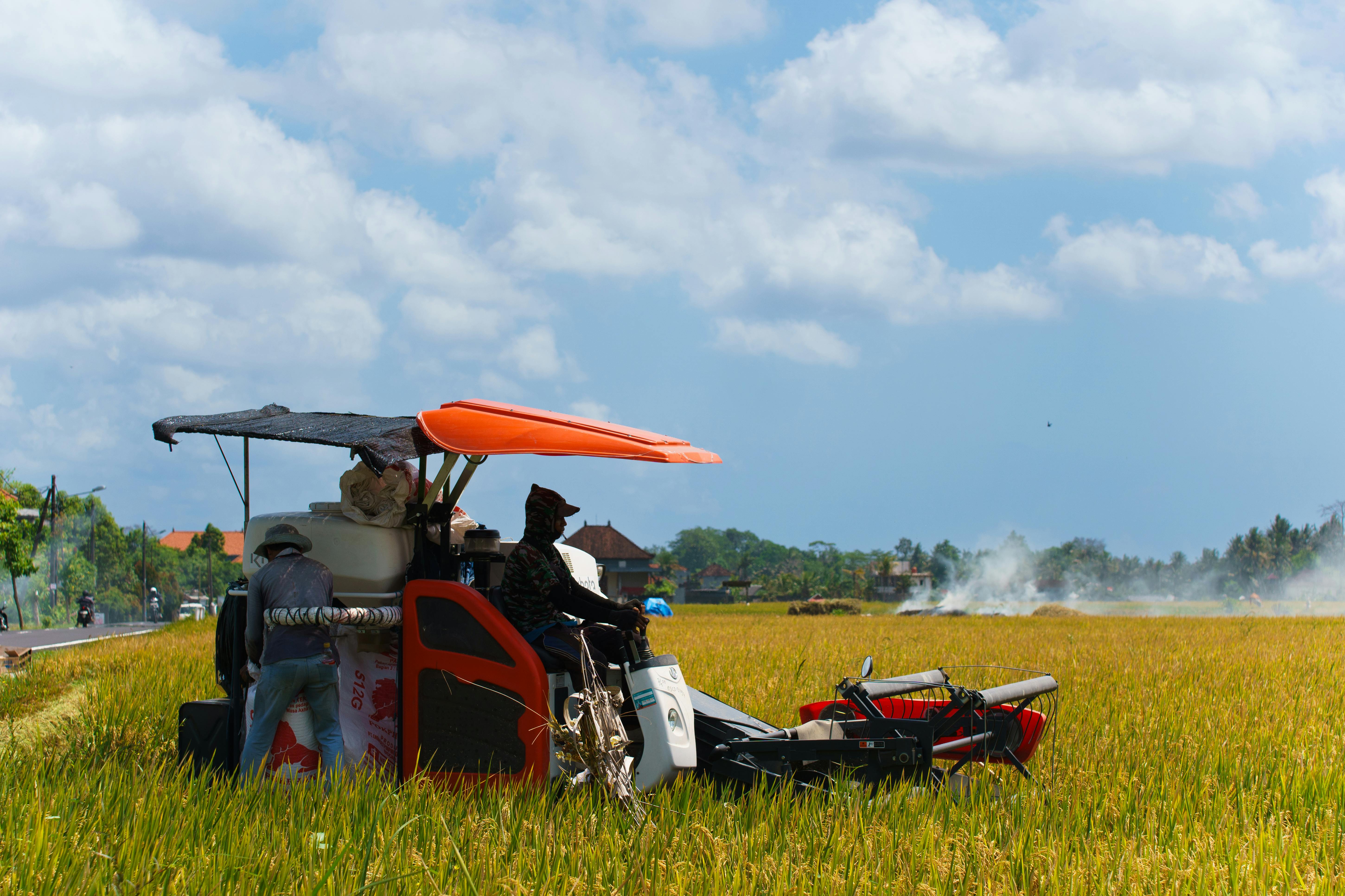 Paddy Field Photos, Download The BEST Free Paddy Field Stock Photos ...