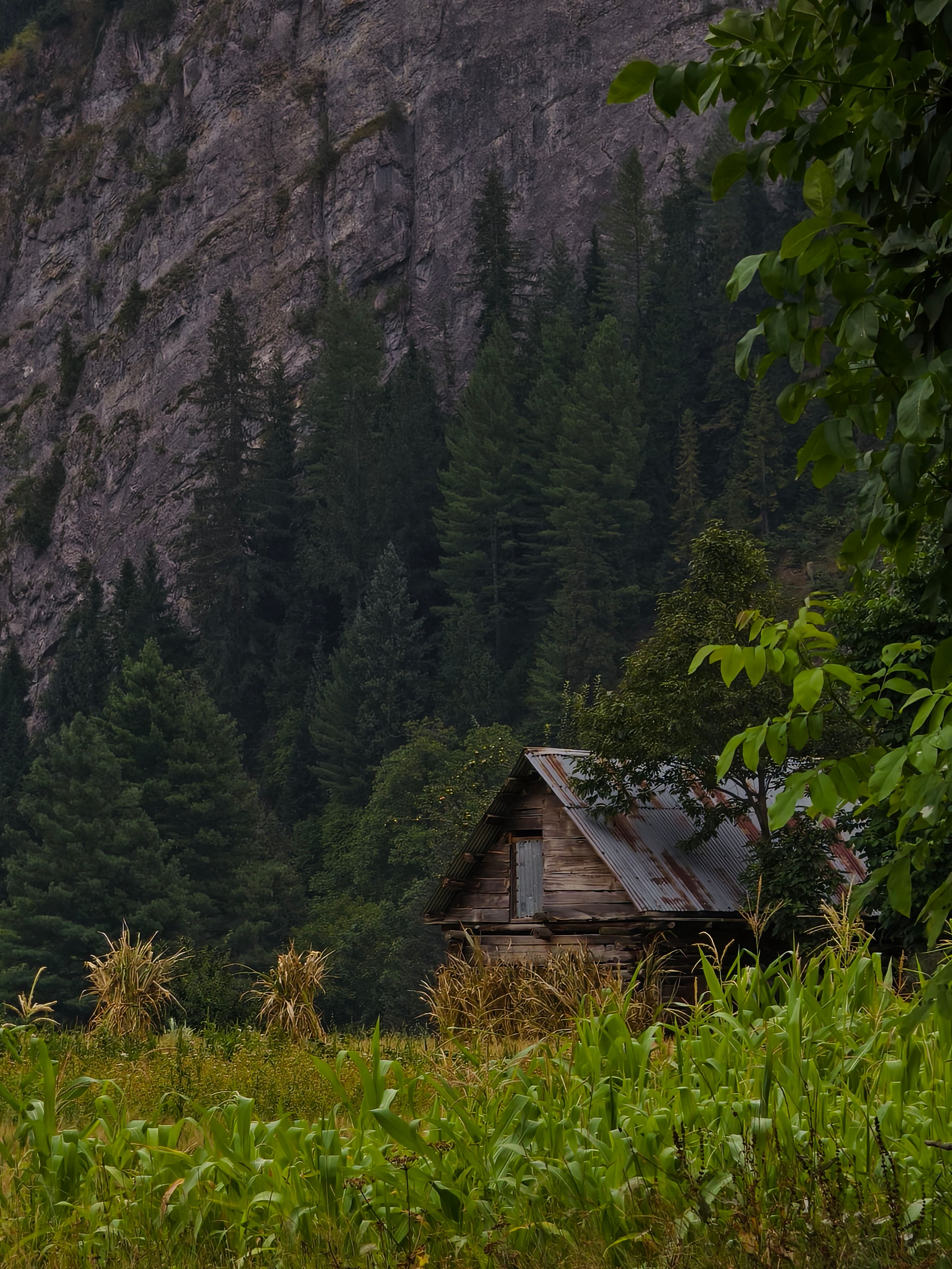 Landscape Kashmir Photos, Download The BEST Free Landscape Kashmir ...