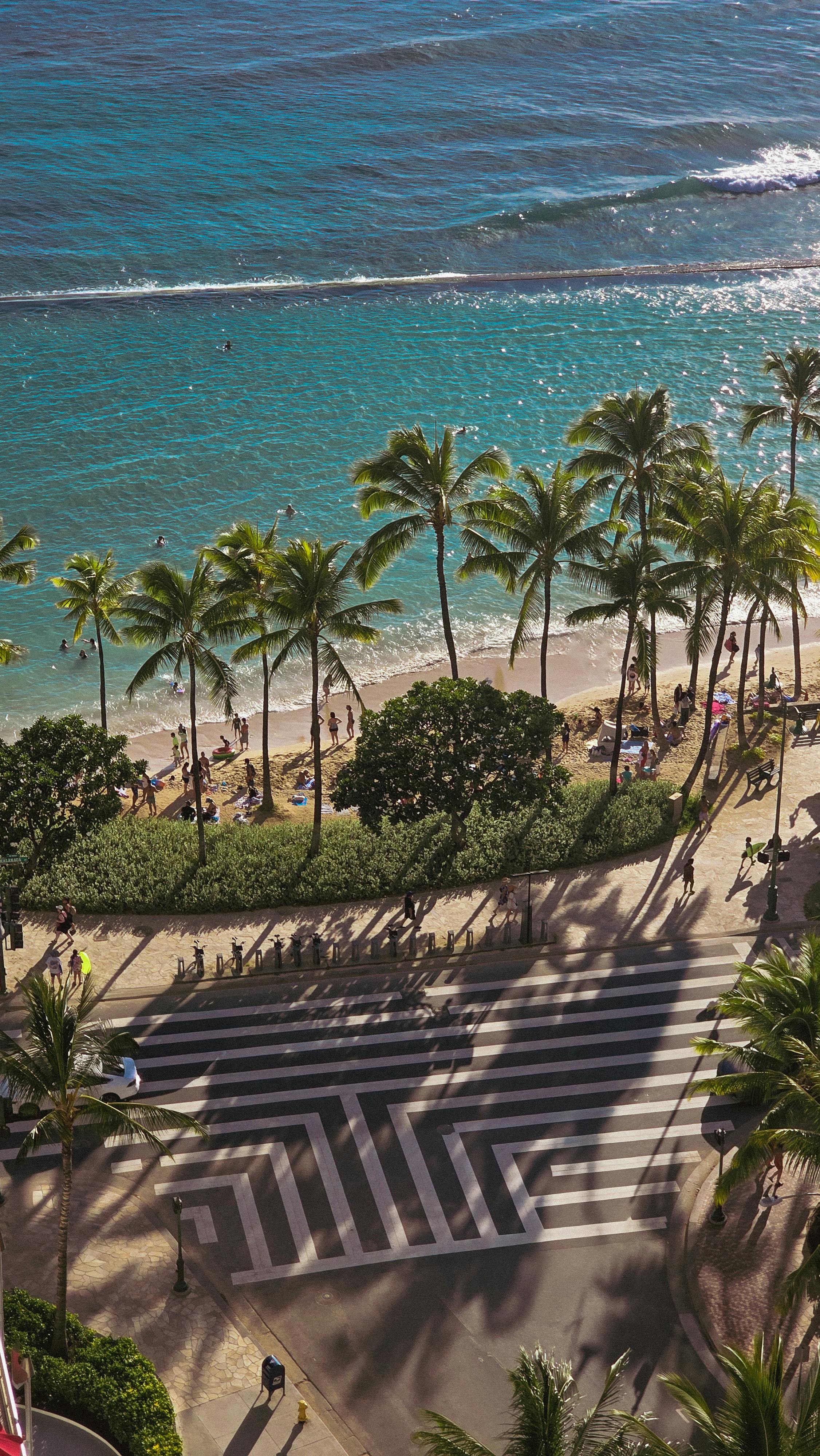 Beach Bikini, Bottomless Photos, Download The BEST Free Beach Bikini ...