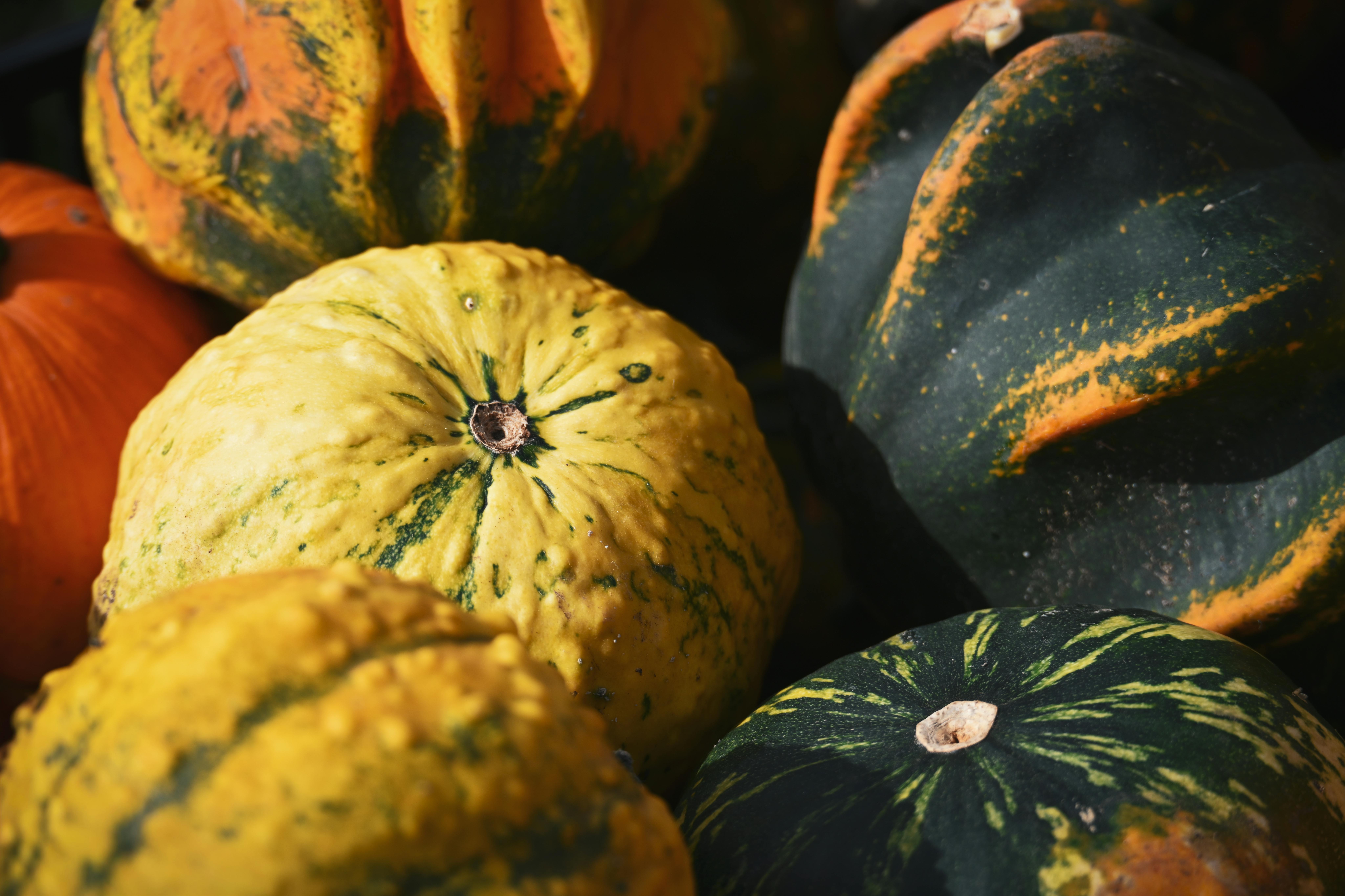 Fall October Photos, Download The BEST Free Fall October Stock Photos ...