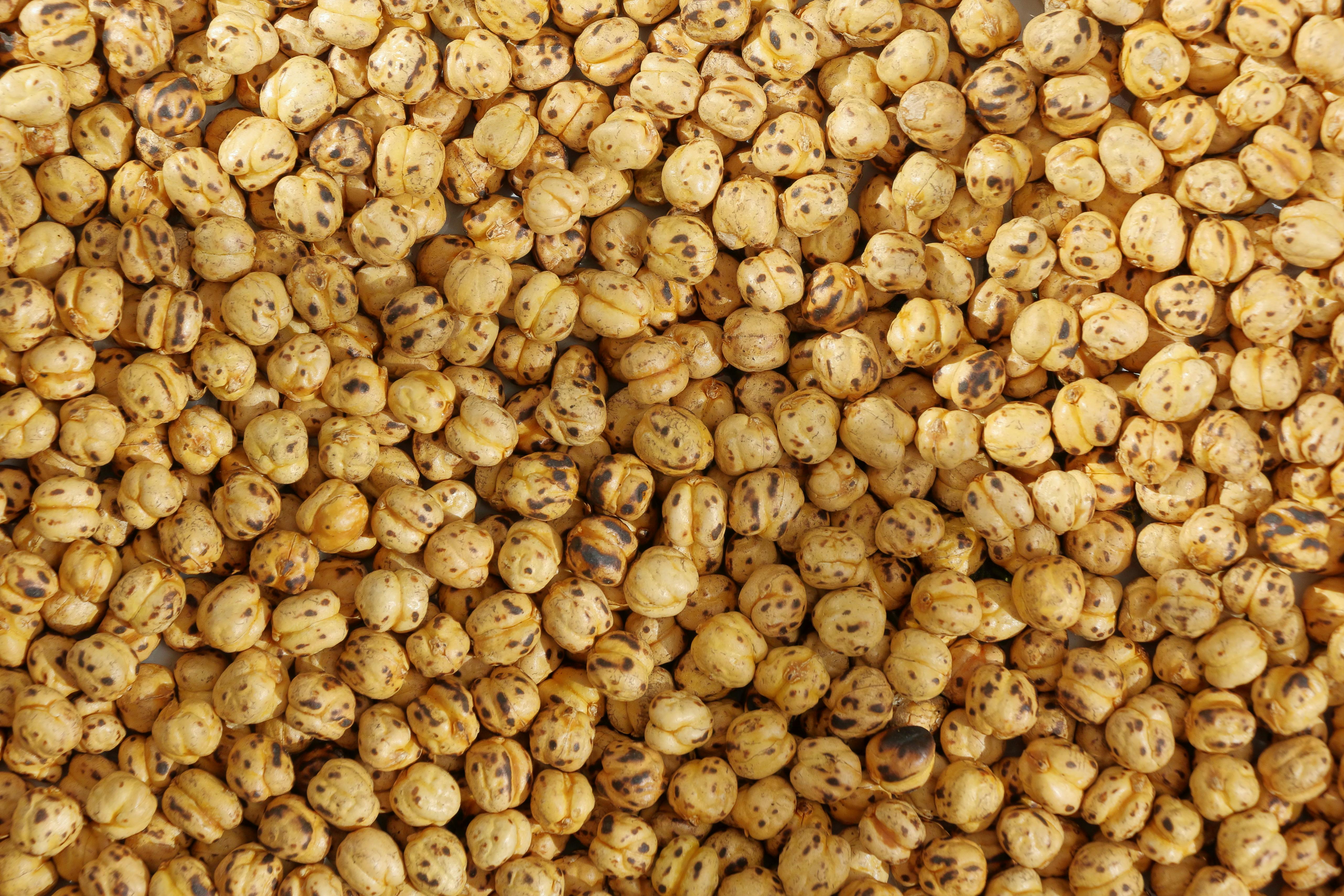 Nutrition Background Photos, Download The BEST Free Nutrition ...