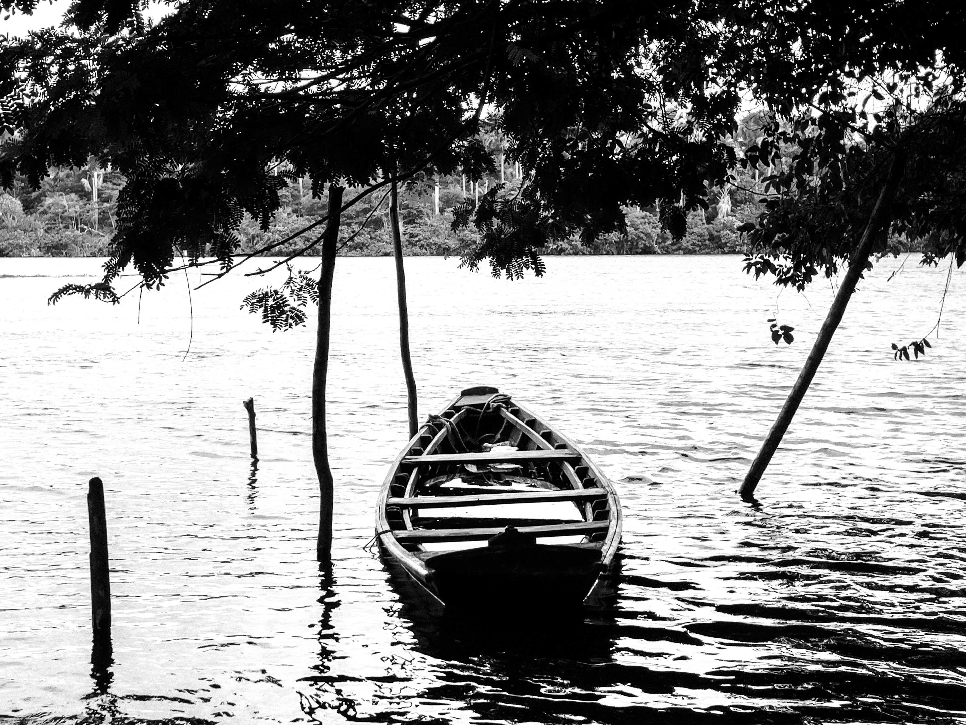 Serene Black and White River Scene in MA, Brazil · Free Stock Photo