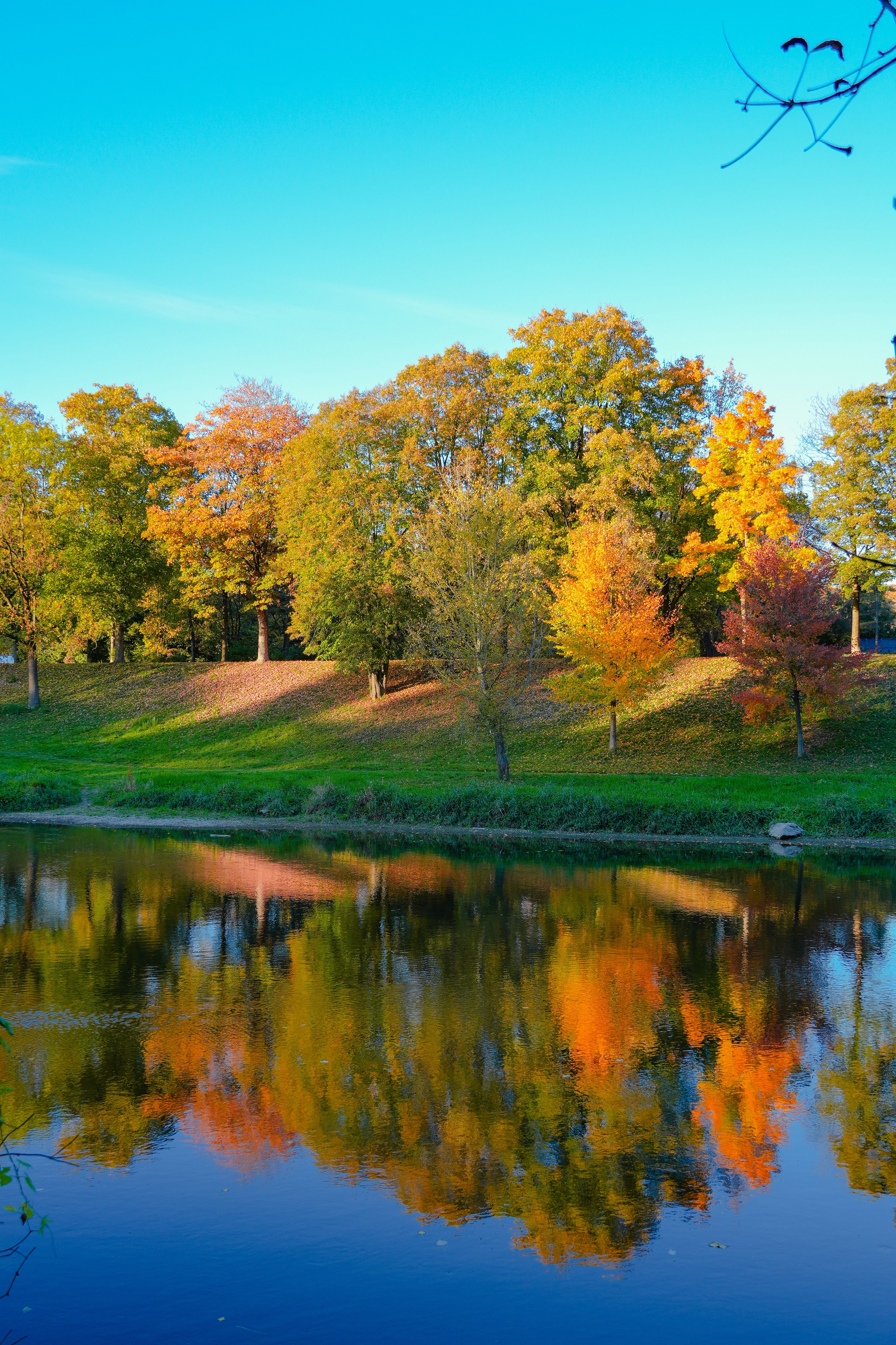 Each Season Like Fall, Spring, Summer Color Pallete Photos, Download ...