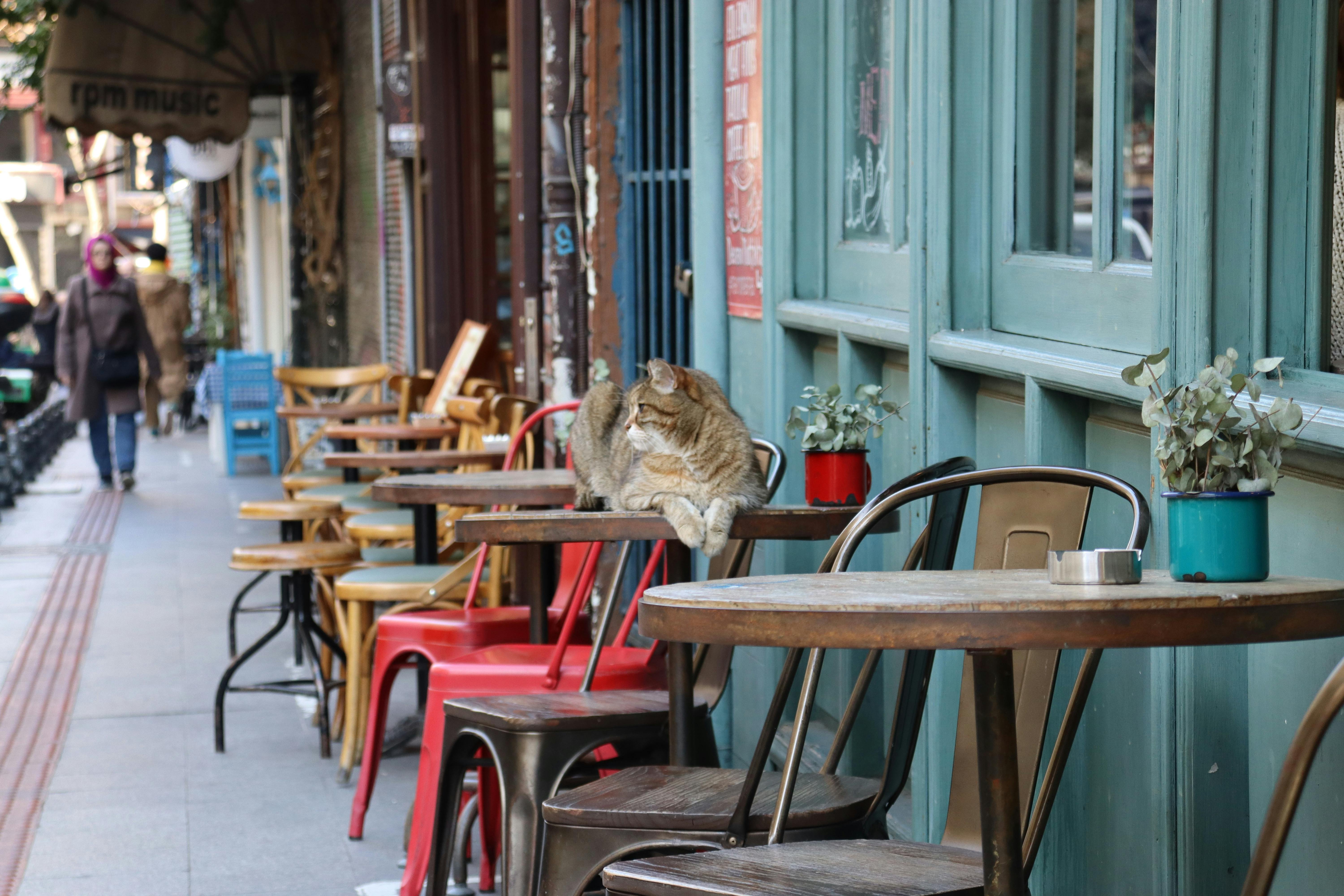 Person Peeking Around Corner Photos, Download The BEST Free Person ...