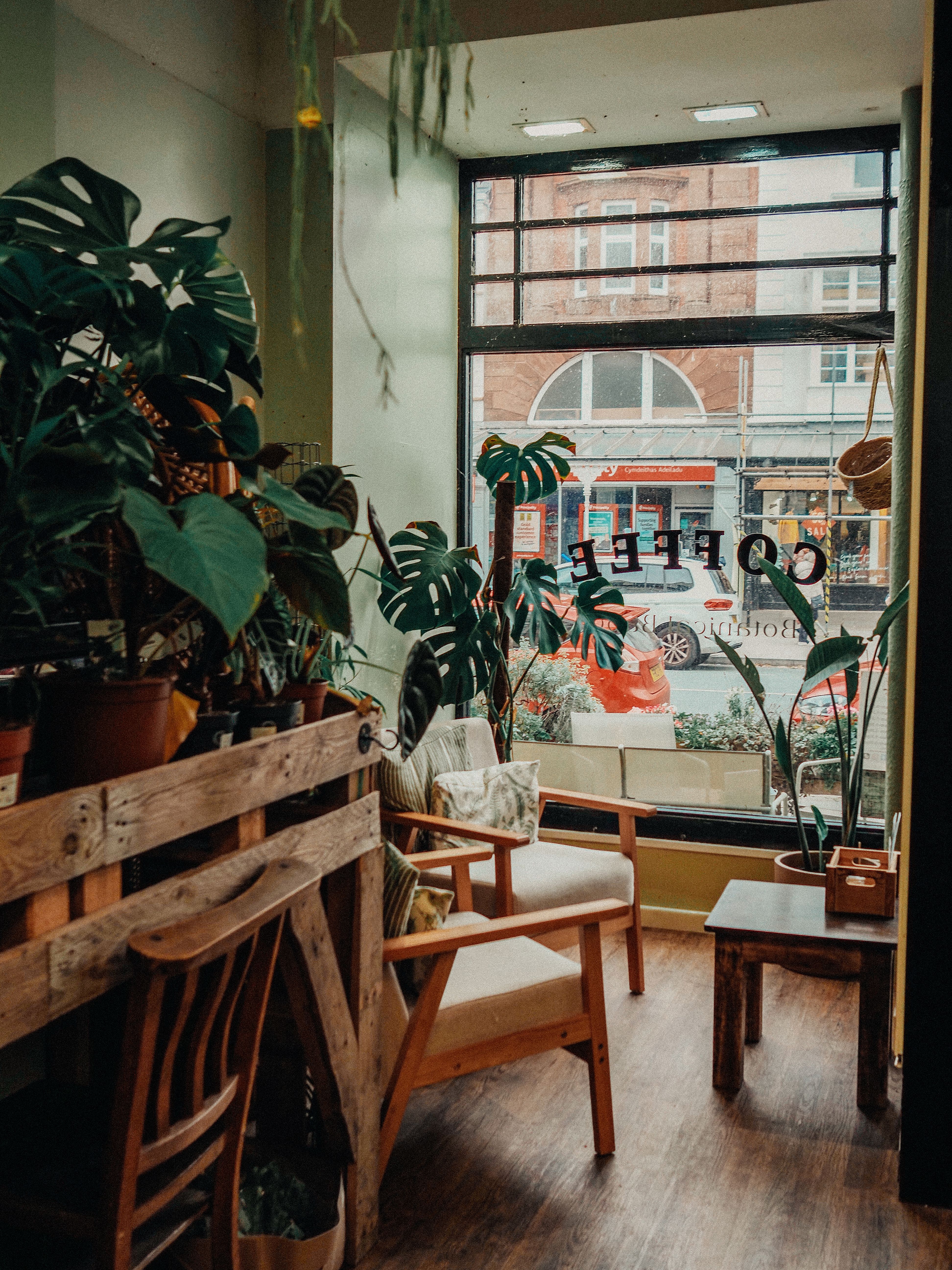 Cozy Café Interior with Urban View · Free Stock Photo