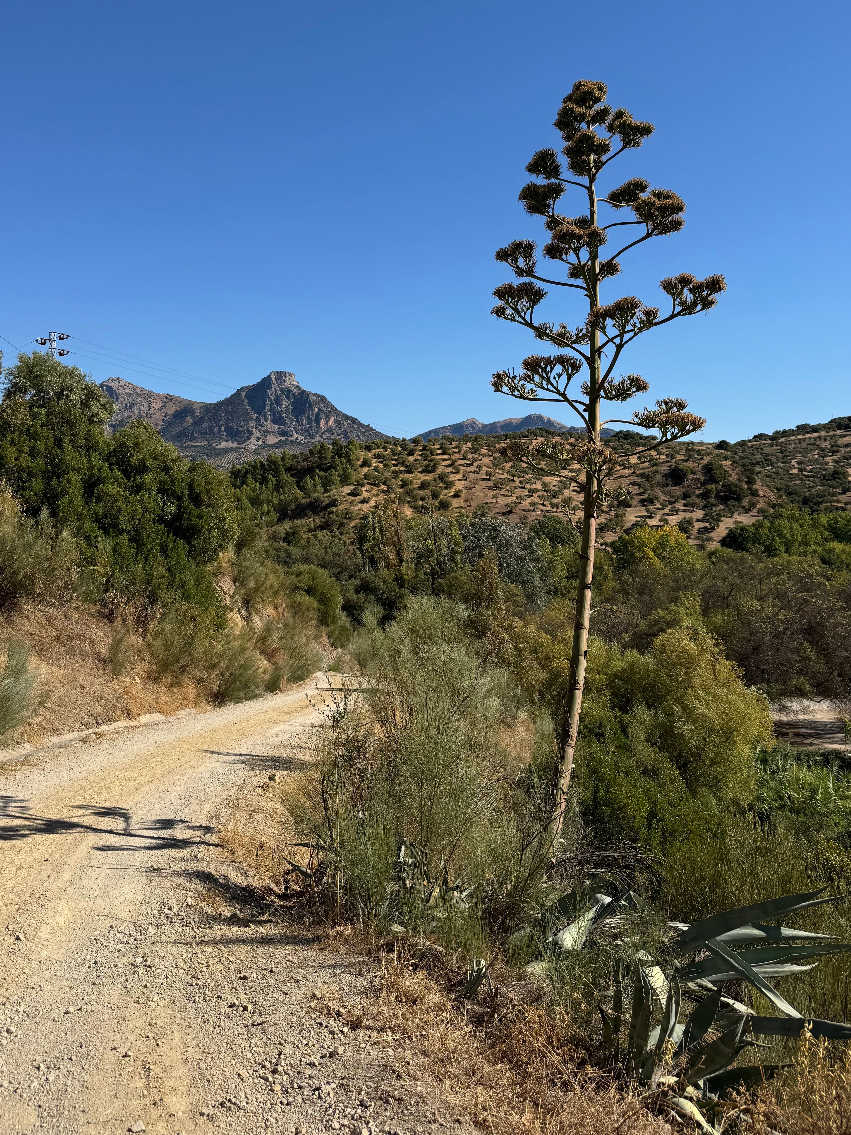 Scenic Mountain Path in Spanish Countryside · Free Stock Photo