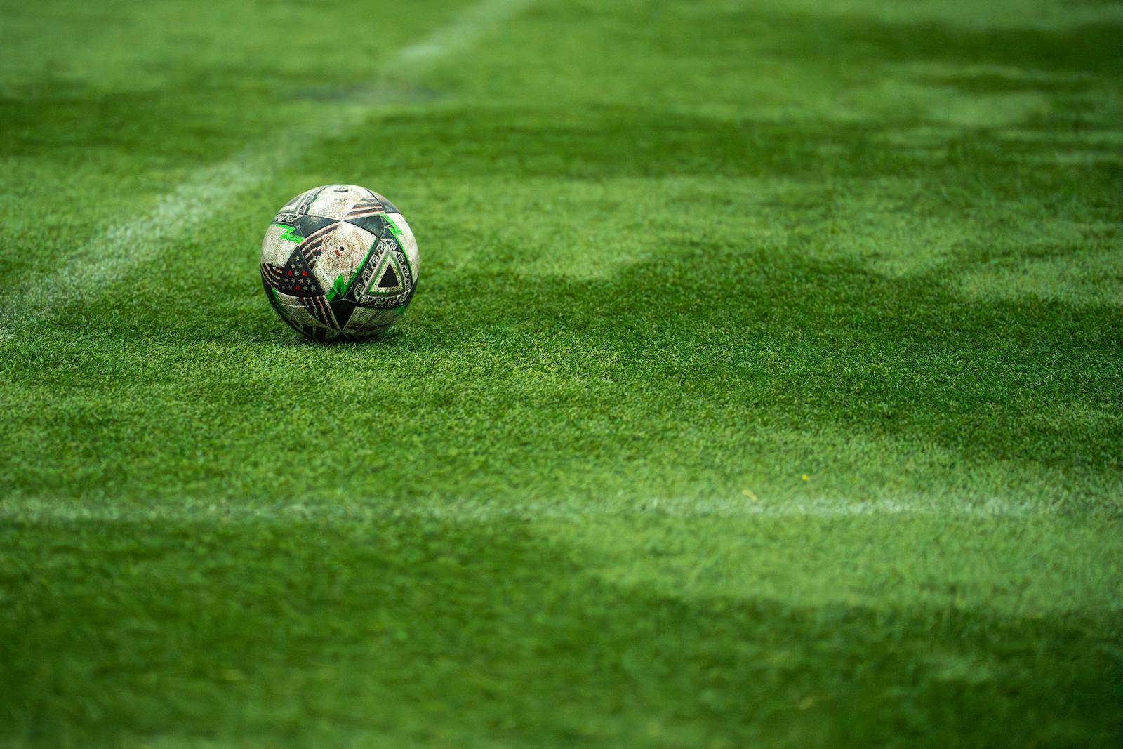 Turf Photos, Download The BEST Free Turf Stock Photos & HD Images