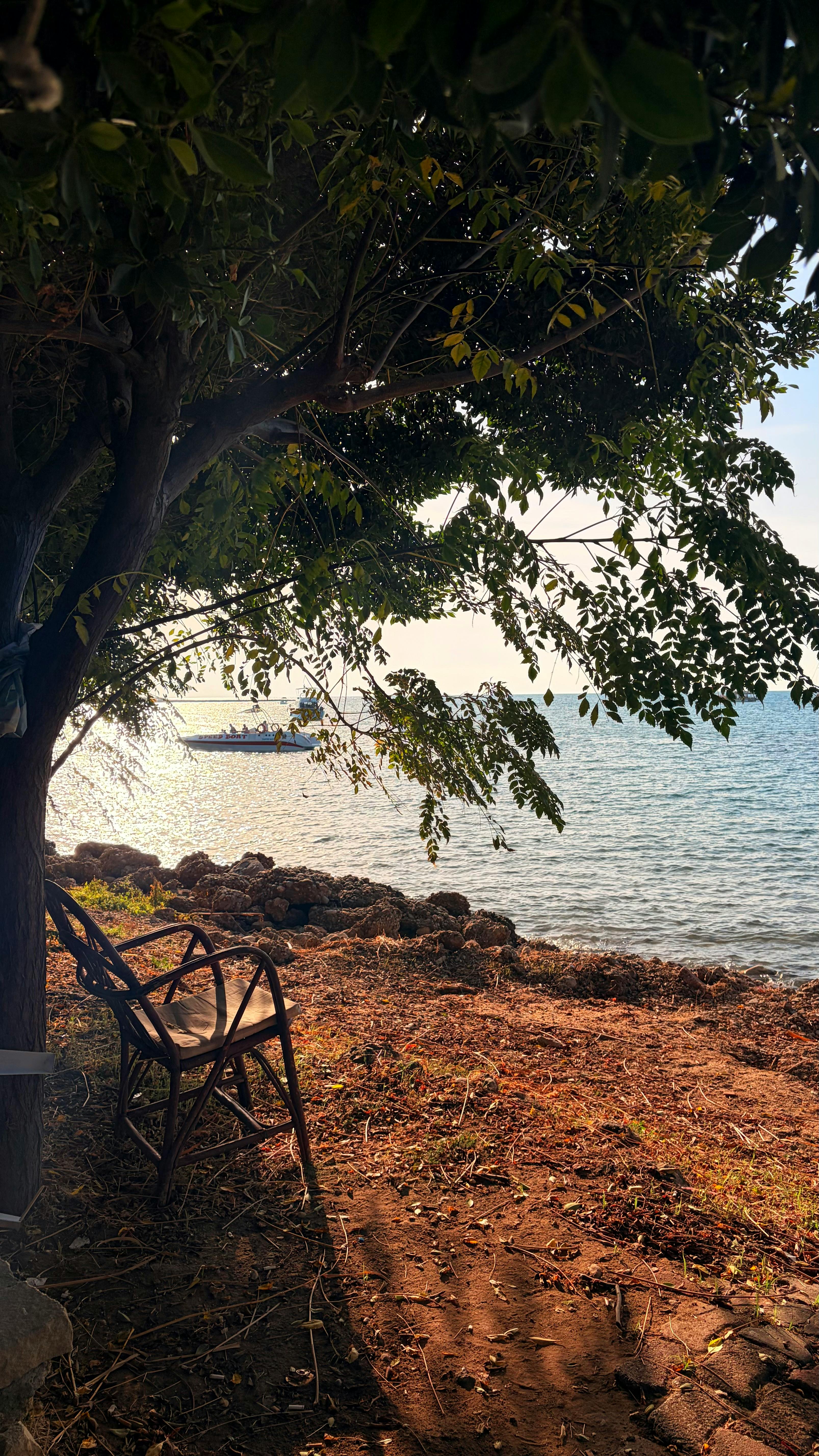 Rocky Coastlines Photos, Download The BEST Free Rocky Coastlines Stock ...