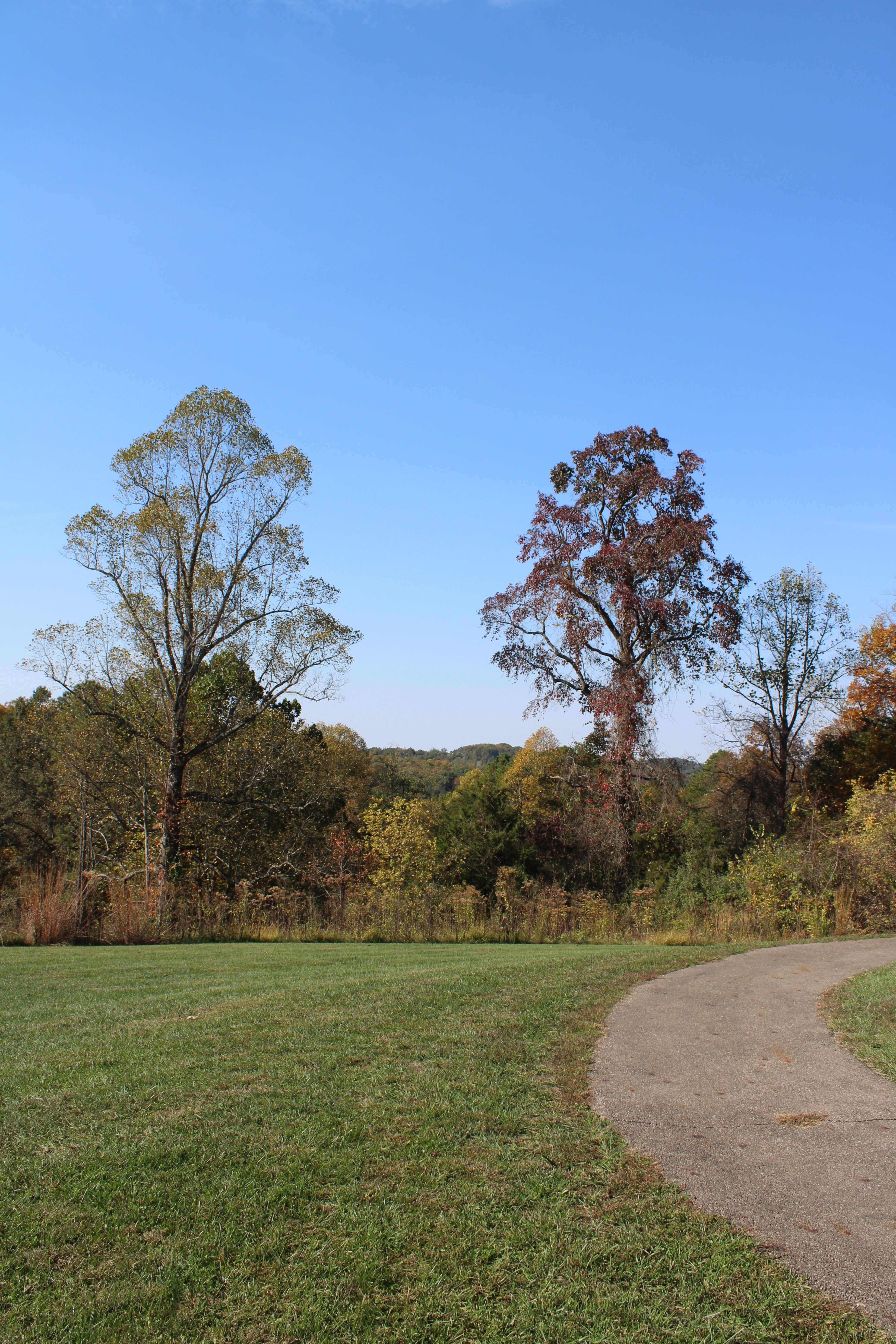 Scenic Autumn Pathway in Ohio Park · Free Stock Photo