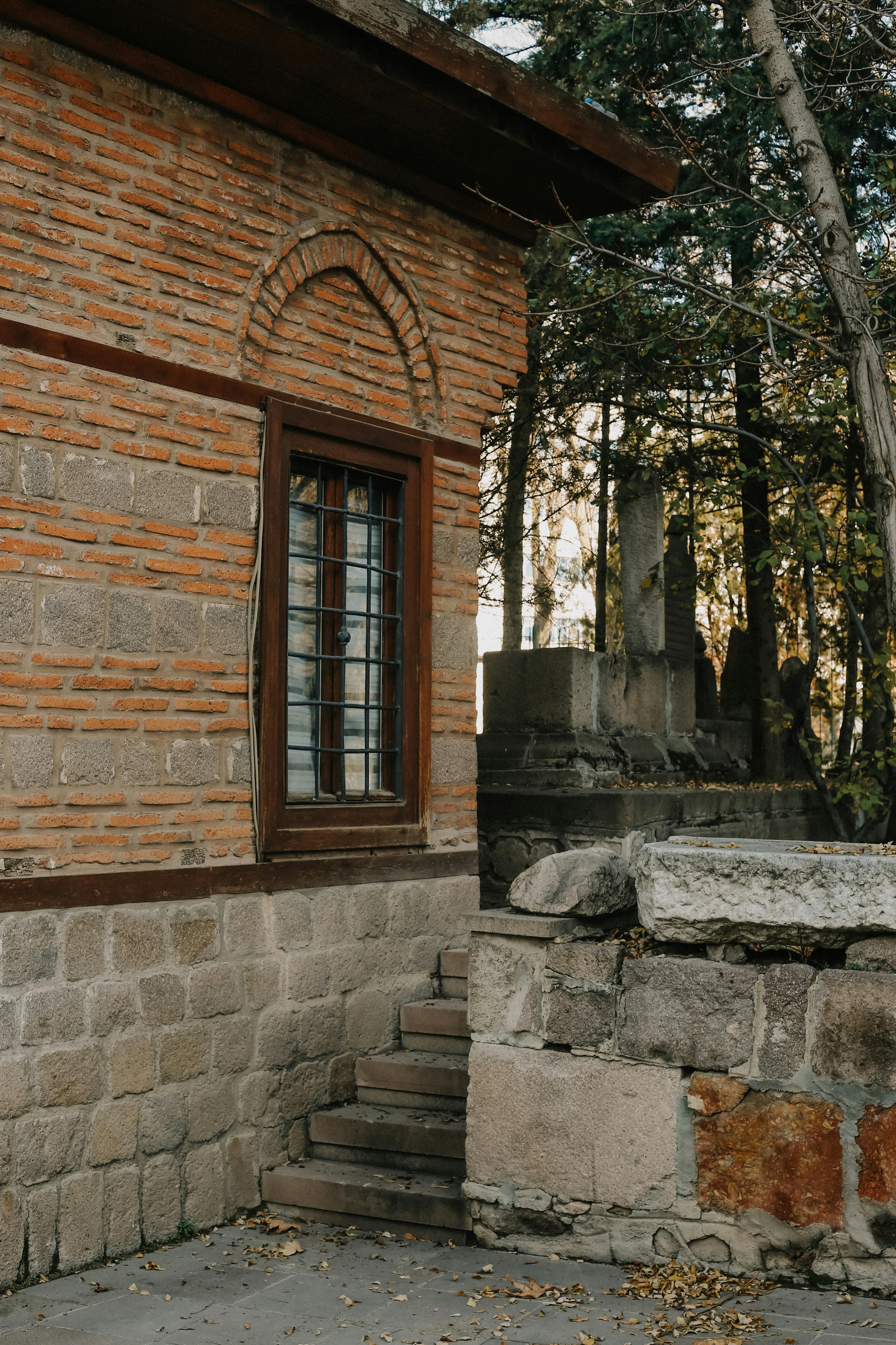 Tree Texture Photos, Download The BEST Free Tree Texture Stock Photos ...