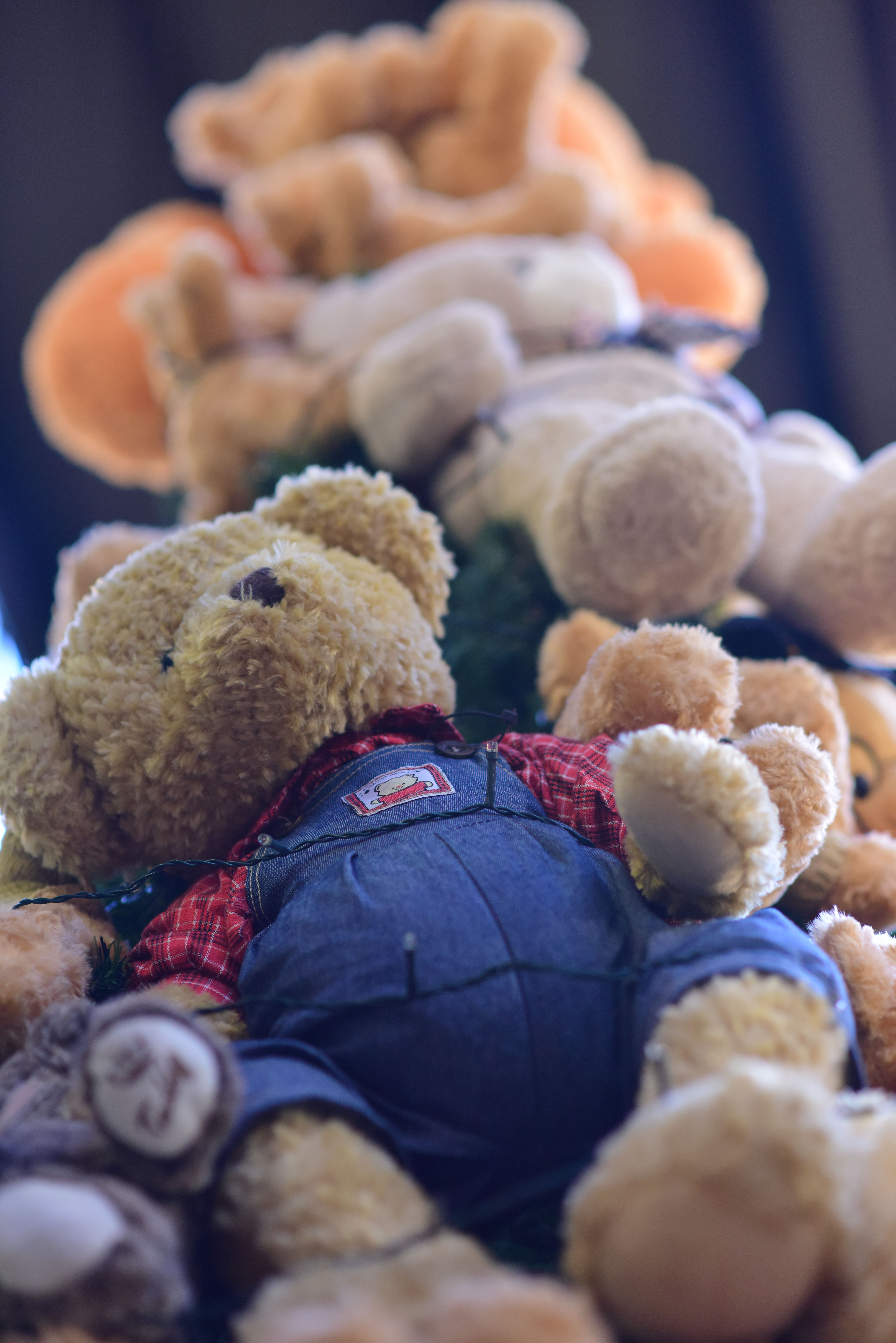 Teddy Bears Stack Display with Denim Overalls · Free Stock Photo