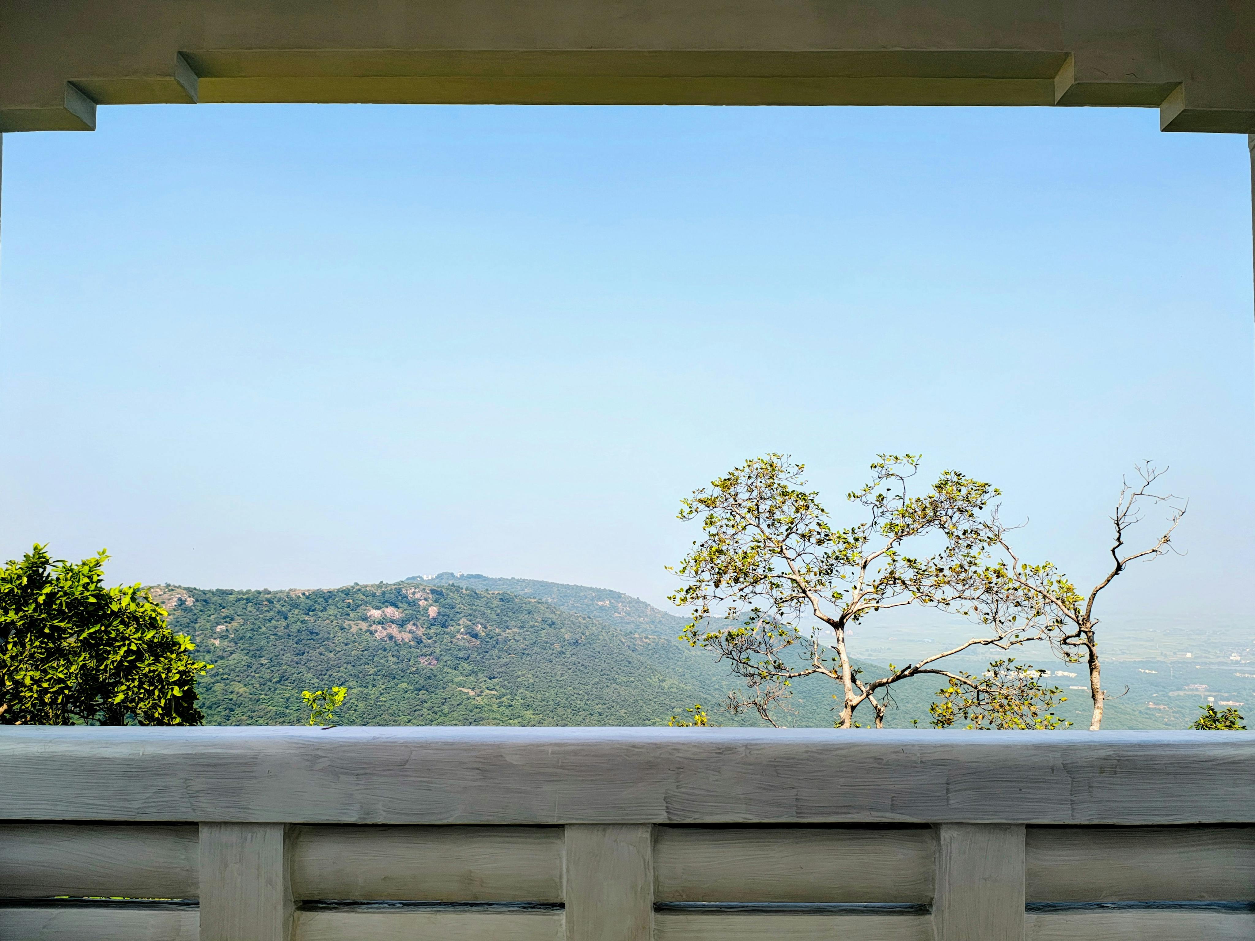 Everyone+Pointing+At+Wallpaper+Meme Photos, Download The BEST Free ...