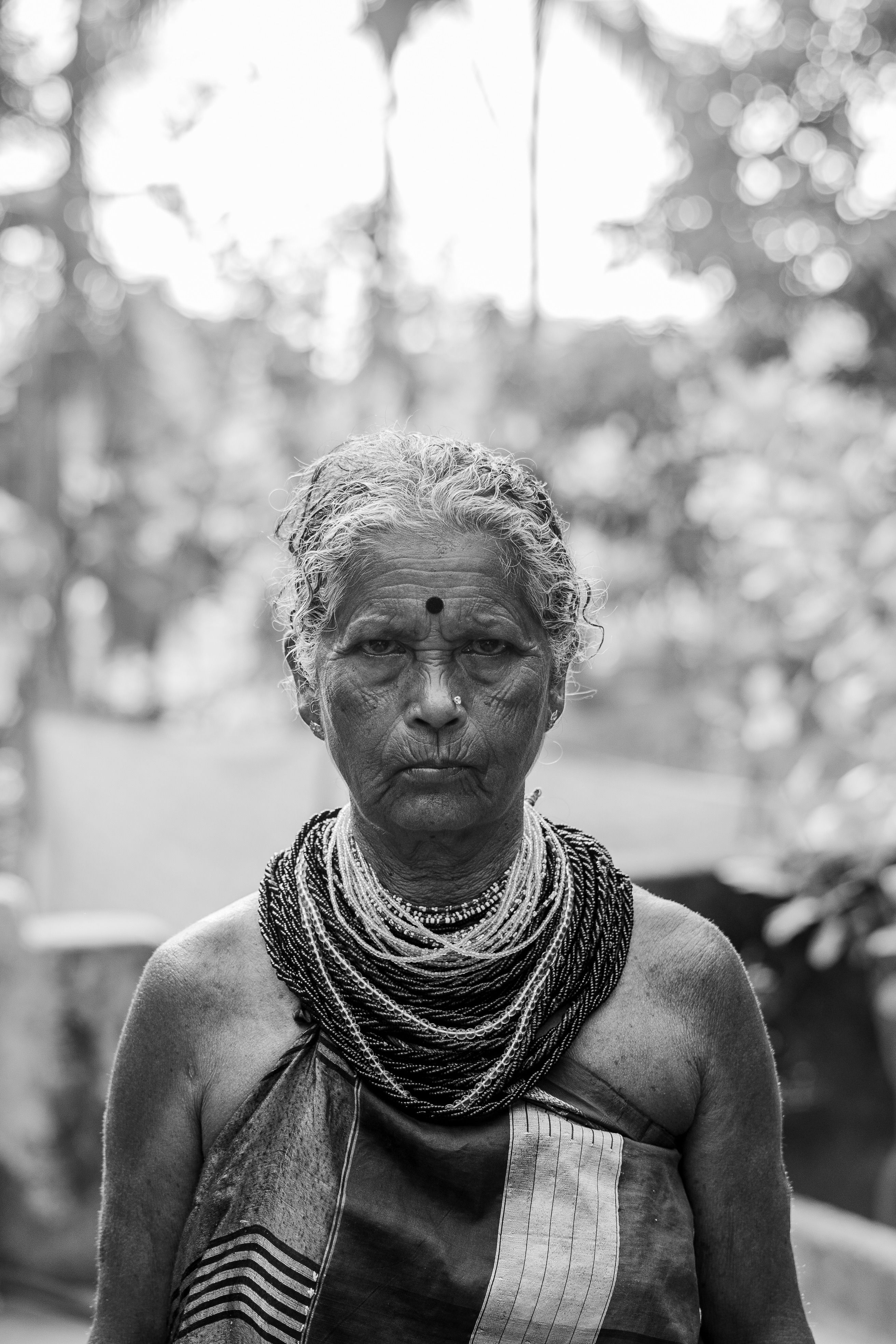 Indian Portrait White Background Photos, Download The BEST Free Indian ...