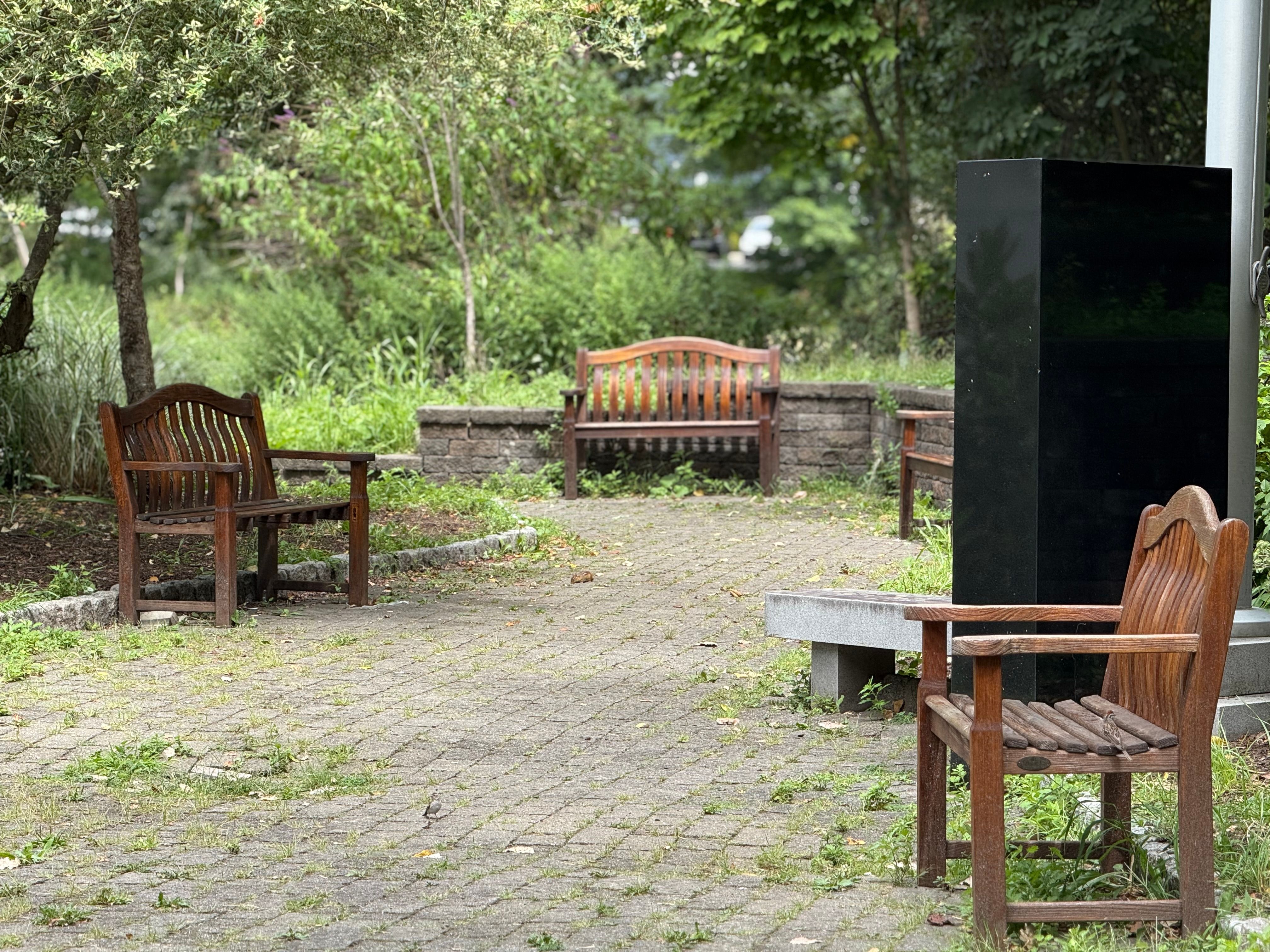 Peaceful Outdoor Park with Wooden Benches · Free Stock Photo