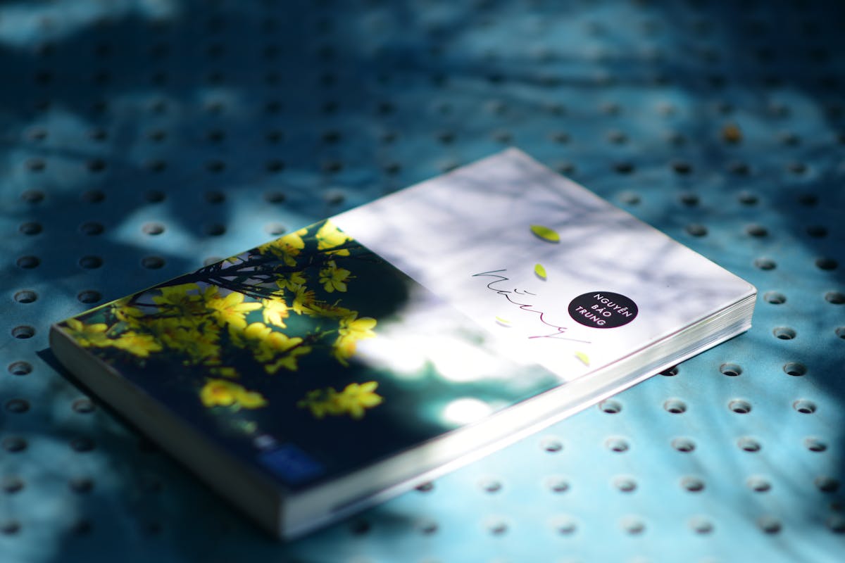 Calming Background For Studying Photos, Download The BEST Free Calming ...