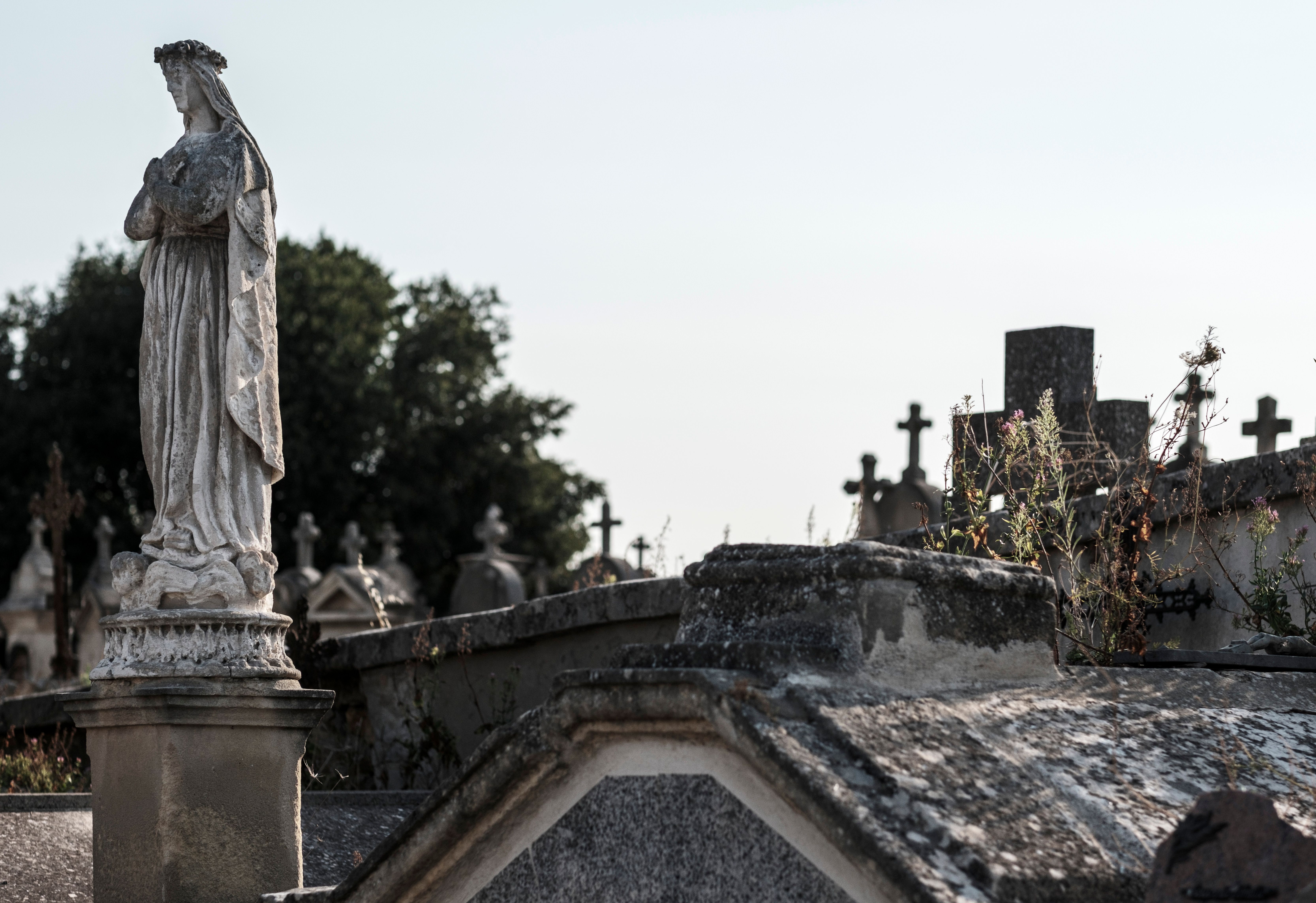 Grave Photos, Download The BEST Free Grave Stock Photos & HD Images