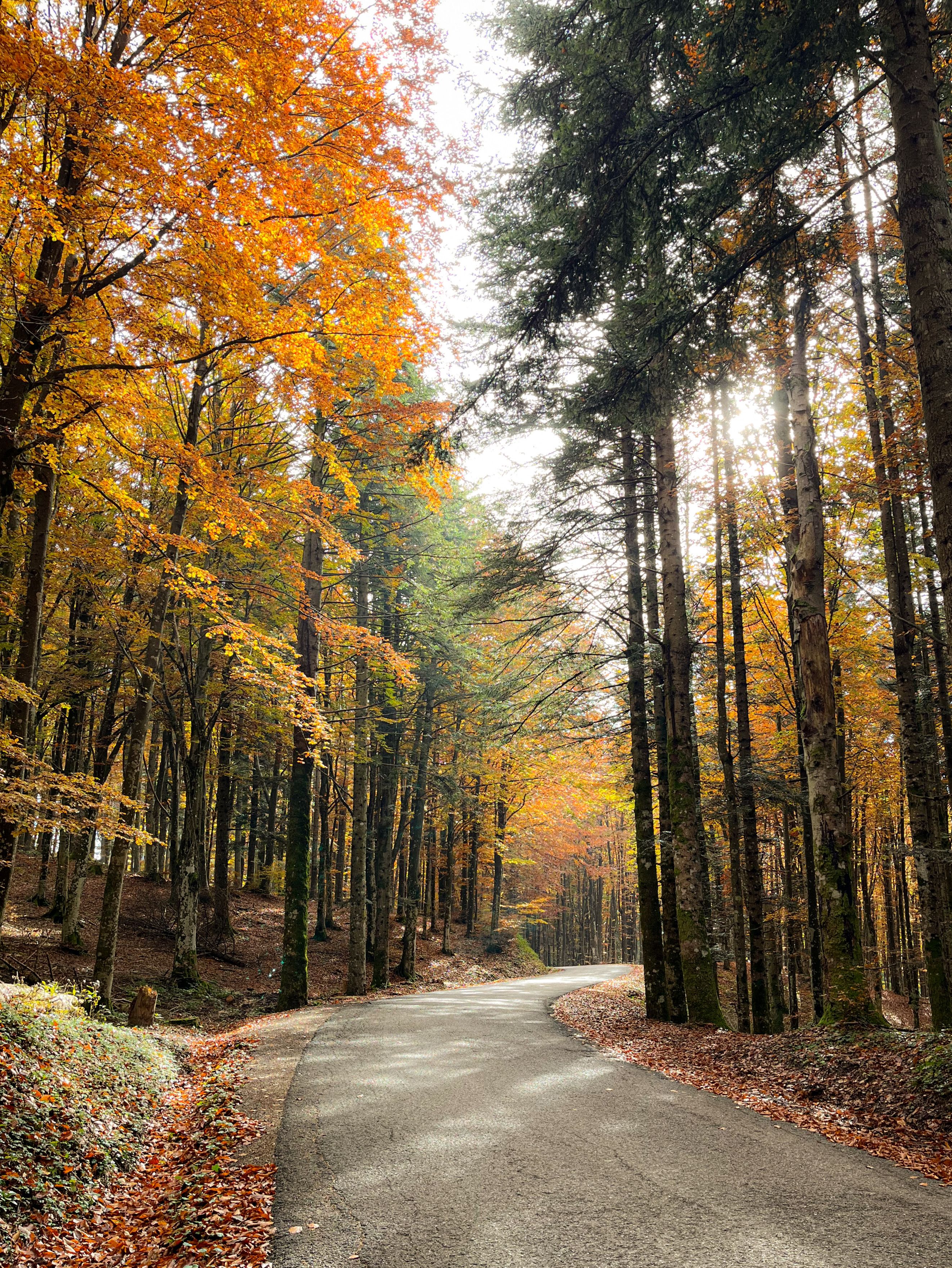 Outdoor Exploration Photos, Download The BEST Free Outdoor Exploration ...