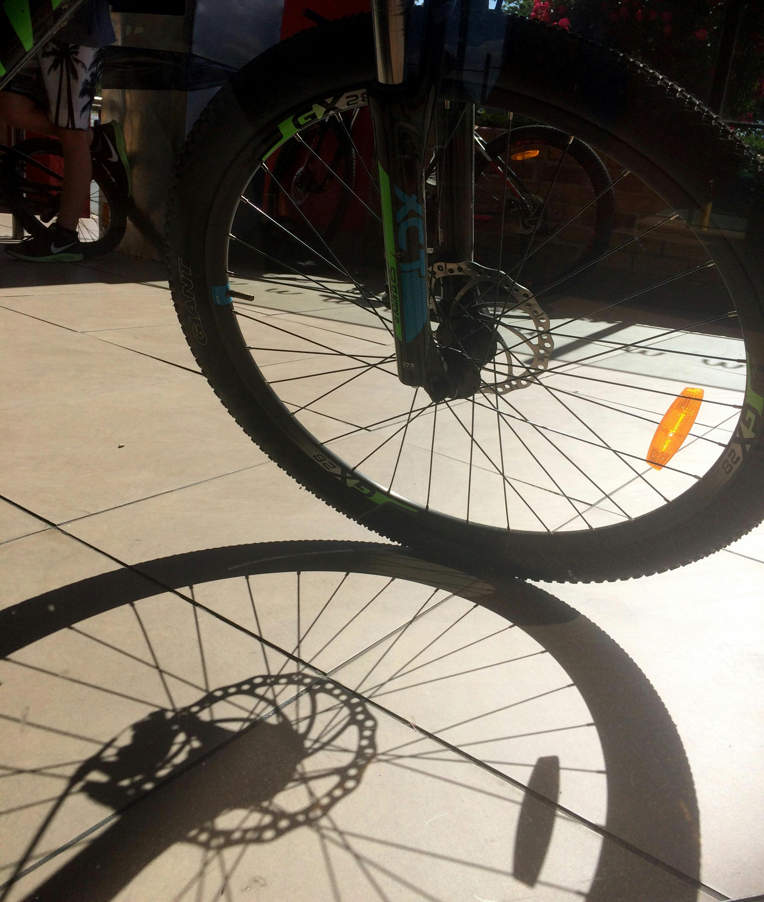 Tara Mcintosh - 攝影